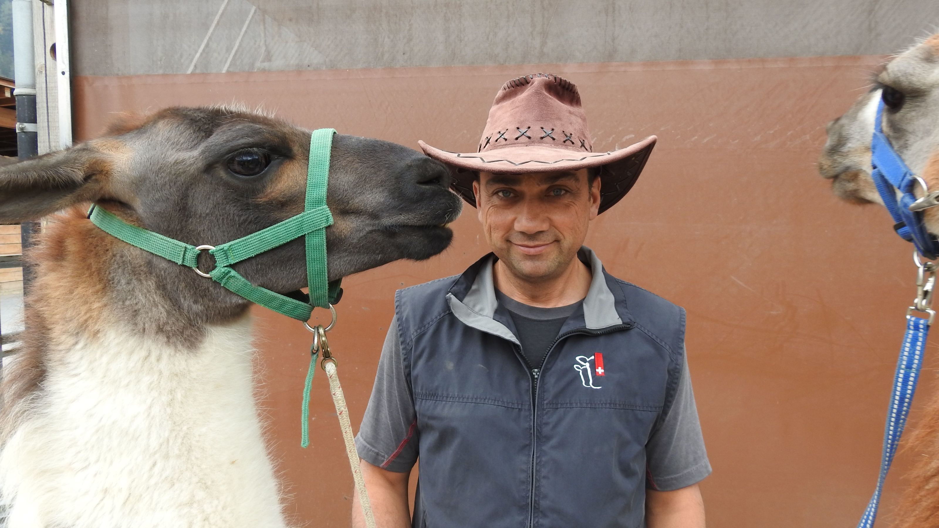 Lamatrekking Schnuppertour | Schweiz Tourismus