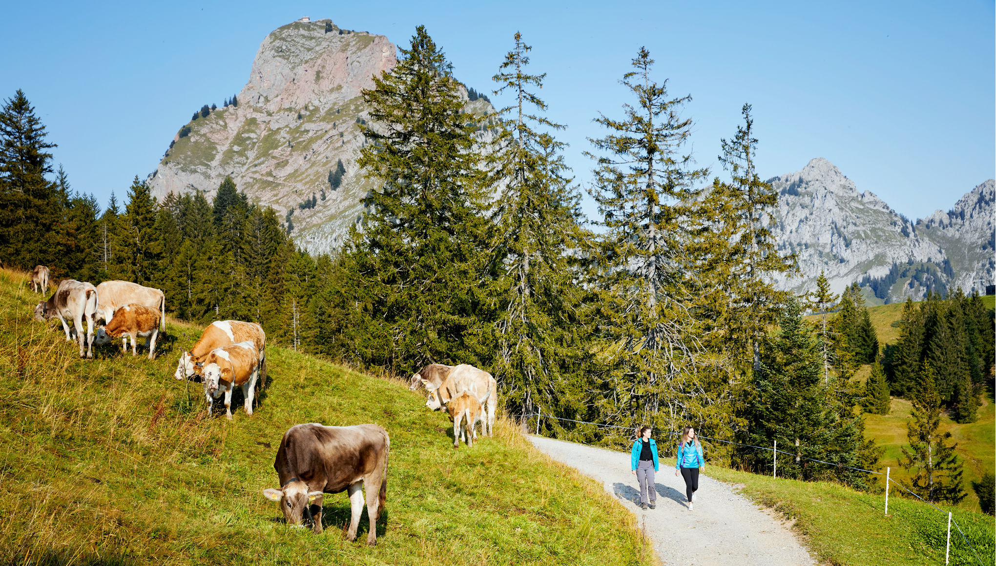 Hiking combination "Rotenflue" | Switzerland Tourism