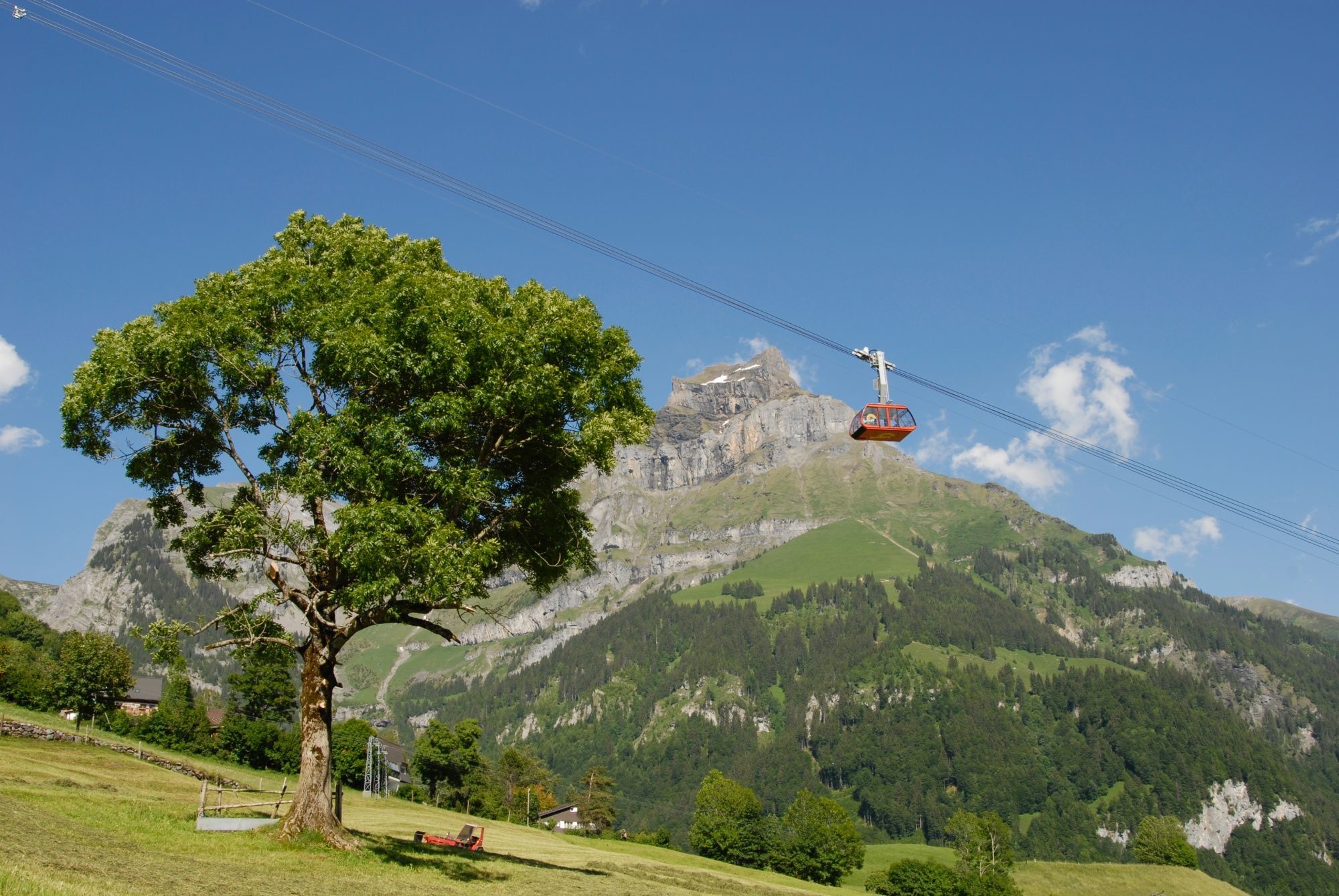 Engelberg-Ristis Ticket from Engelberg in summer | Switzerland Tourism