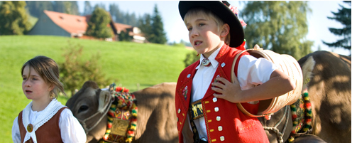 Cantonal bull and fall show in Teufen | Switzerland Tourism