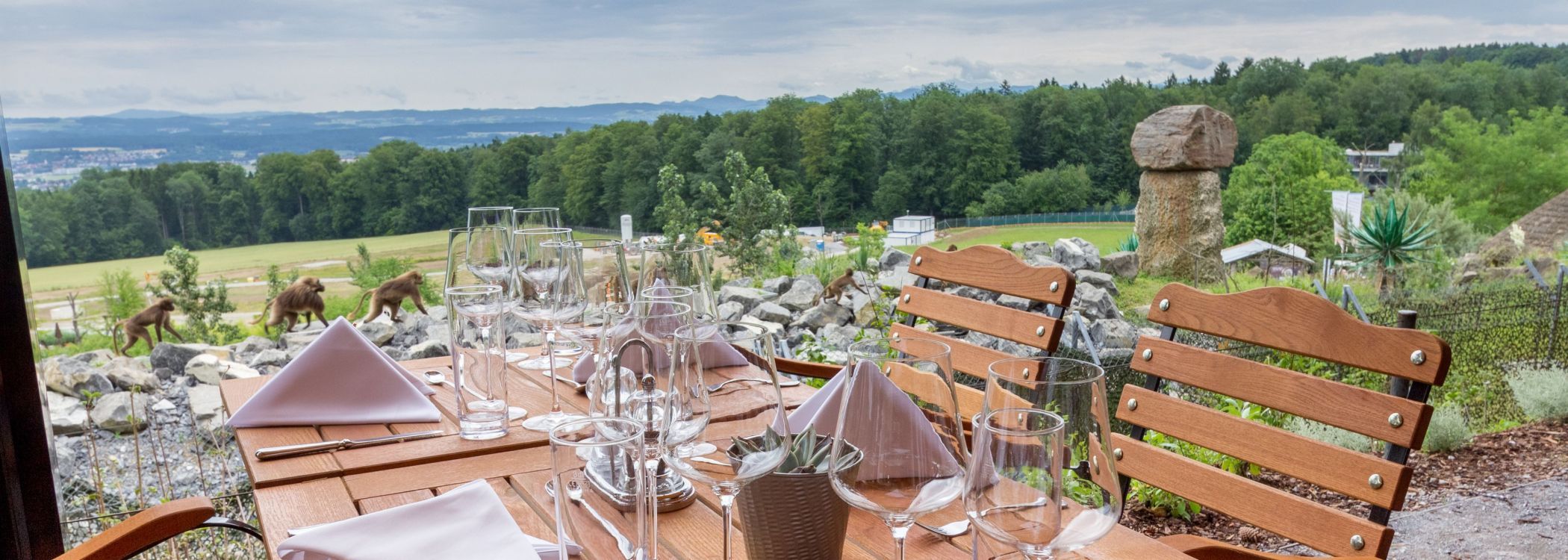 Zoo Restaurants | Switzerland Tourism