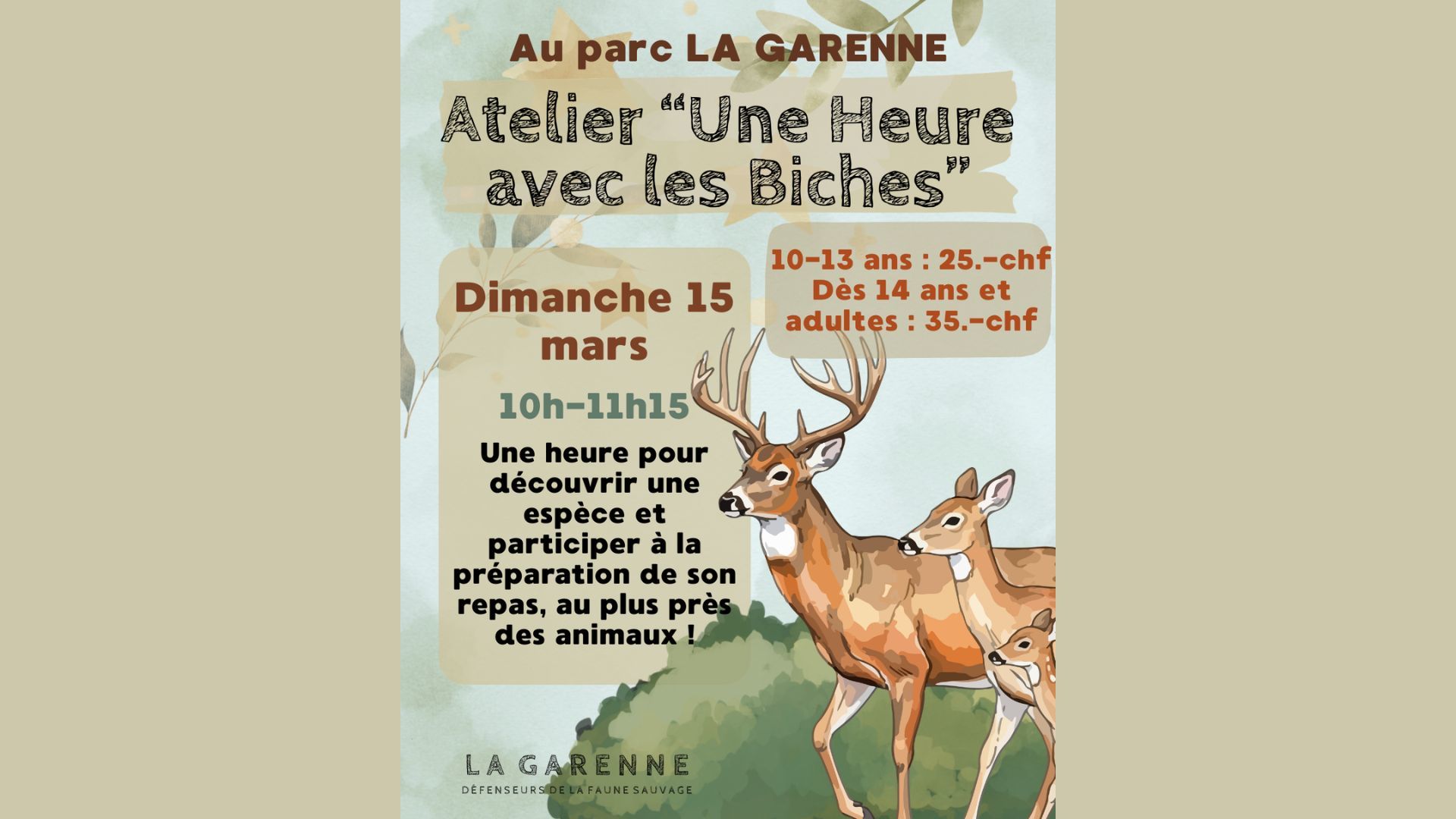 Atelier 1 heure avec les biches | Schweiz Tourismus
