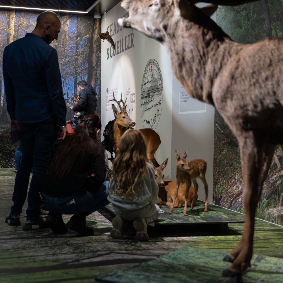 Februar: Im Museum ist was los! Mitmachen | Switzerland Tourism