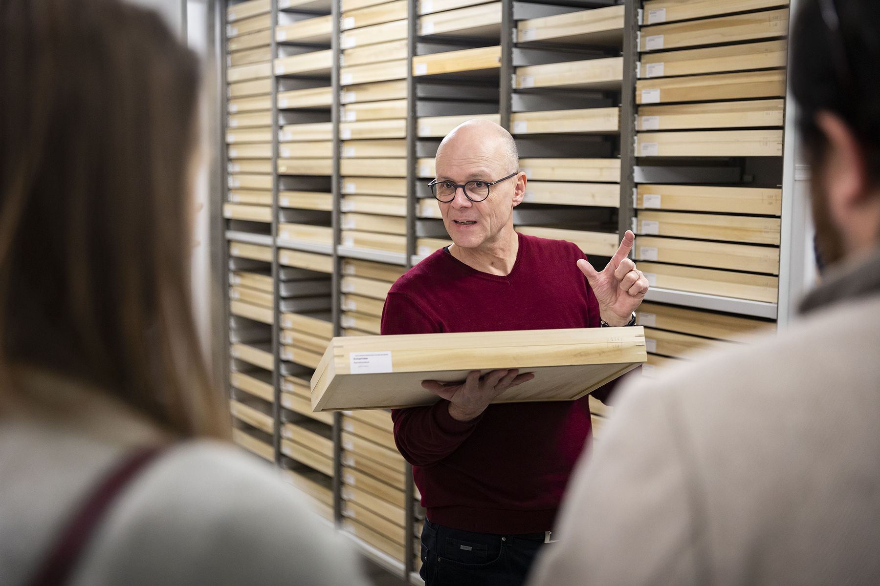 Führungen hinter die Kulissen: Schlupfwespen – die Aliens im ...