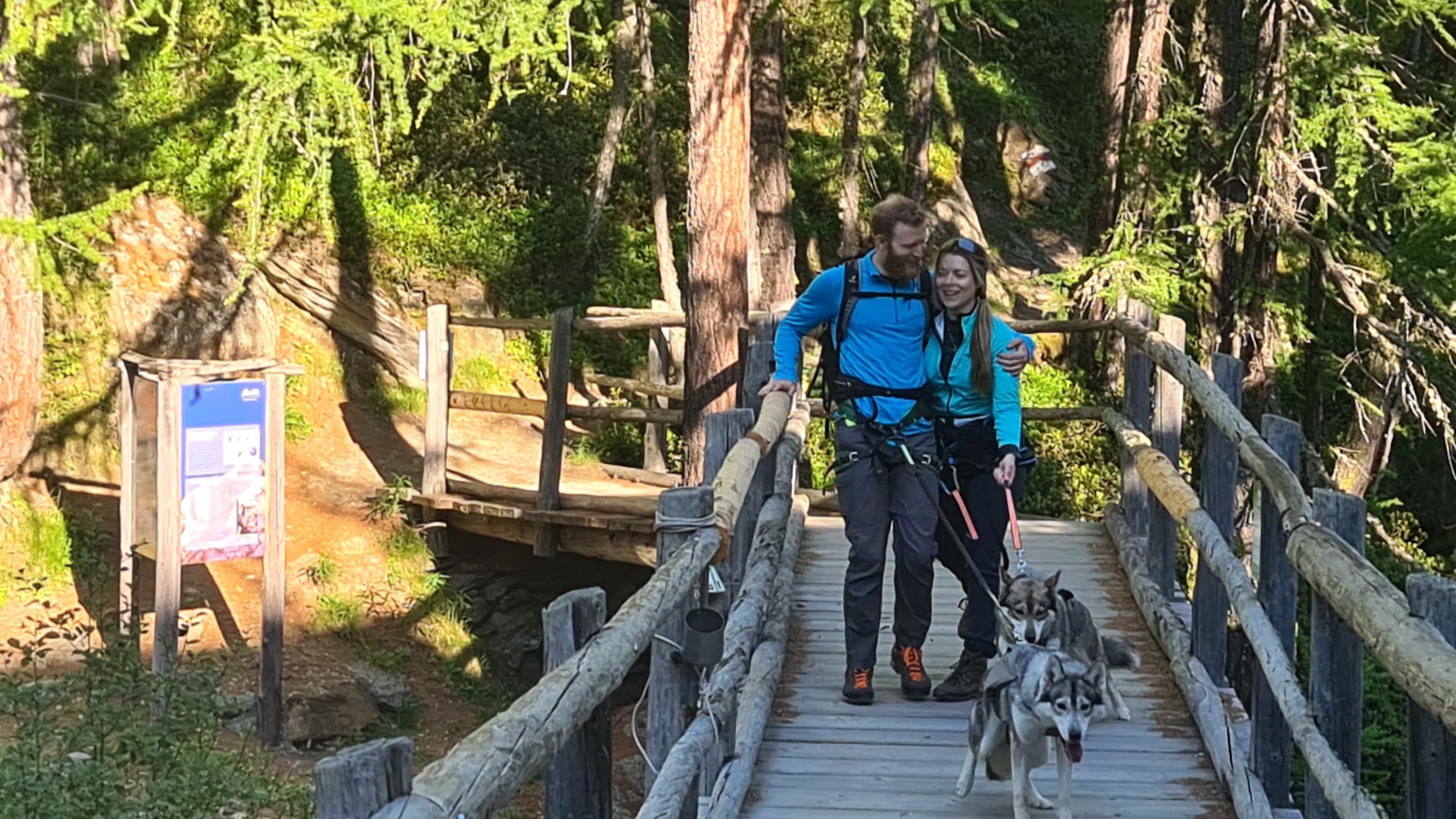 Husky Trekking summer| Hohsaas | Svizzera Turismo