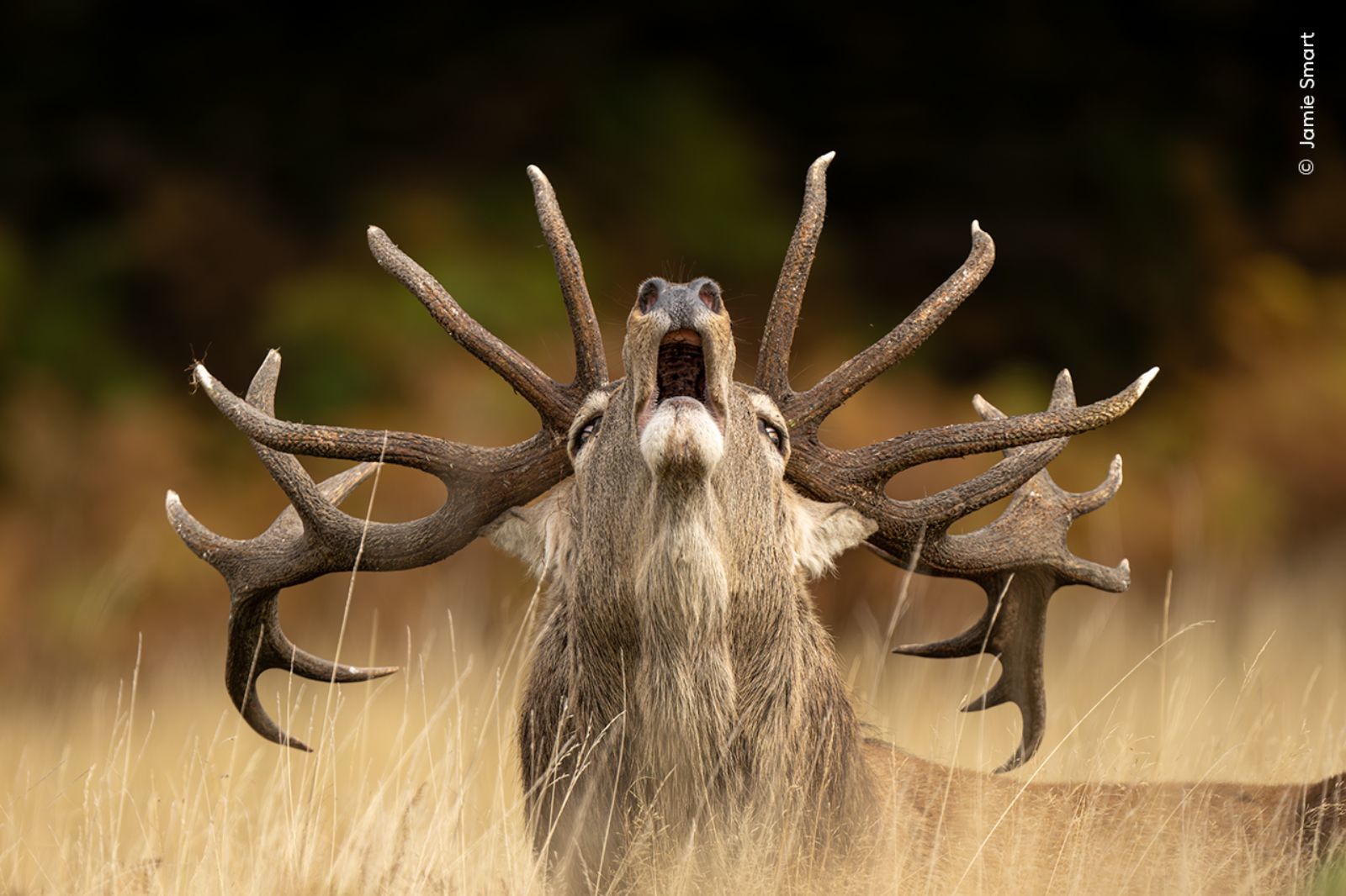 Fokusführung: Naturfotografie | Svizzera Turismo