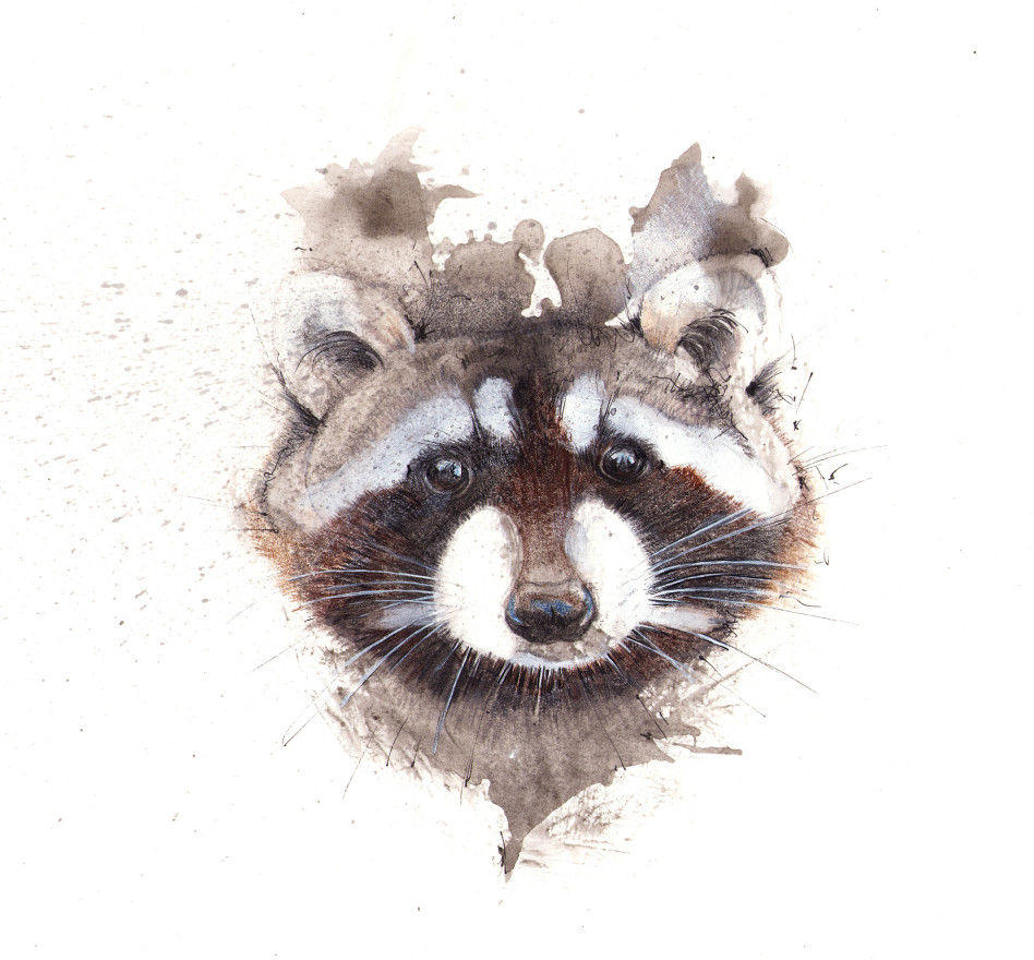 Mazot-Musée de Plan-Cerisier: Expo #02 [English] | Switzerland Tourism