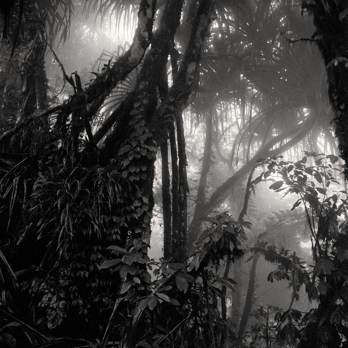 Fridolin Walcher - Das offene Bilderlager | Switzerland Tourism