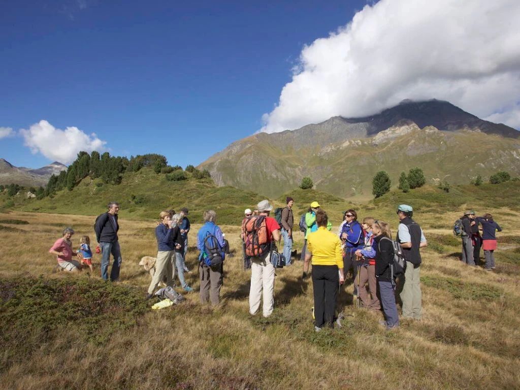 Botany and Geology on the Sinkhole Trail | Switzerland Tourism