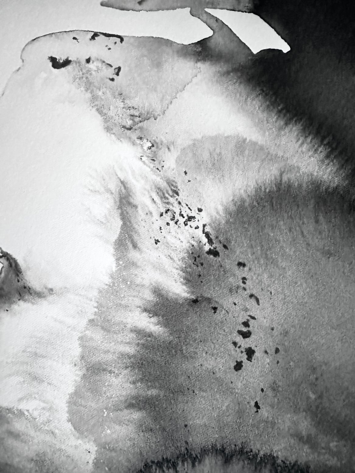 The Soul of Sumi-e: International Perspectives in Ink | Switzerland Tourism