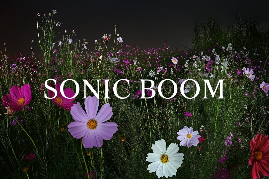 «Collective Listening» – Sonic Boom Kick-off | Switzerland Tourism