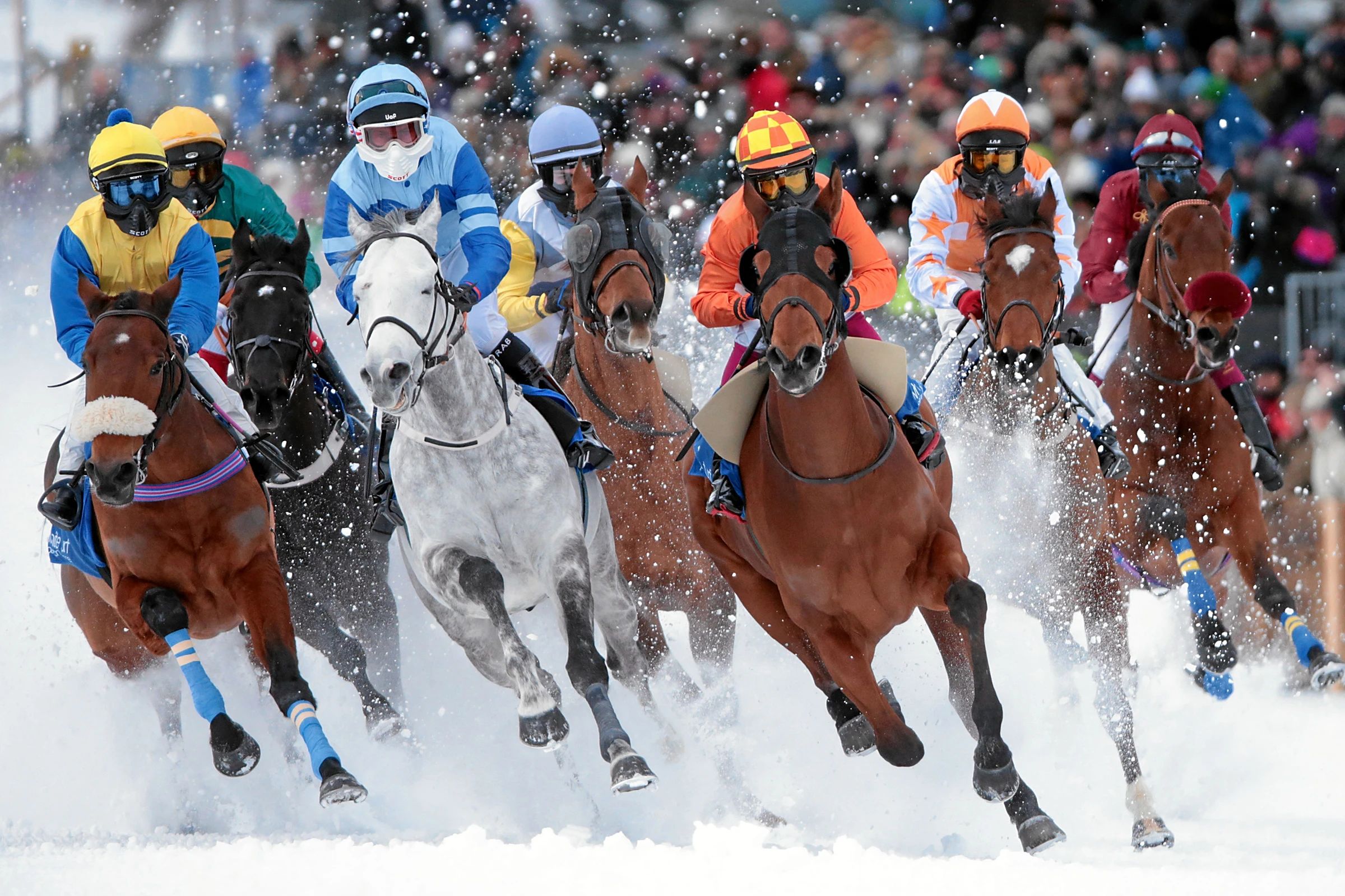 White Turf St. Moritz 2026 | Switzerland Tourism