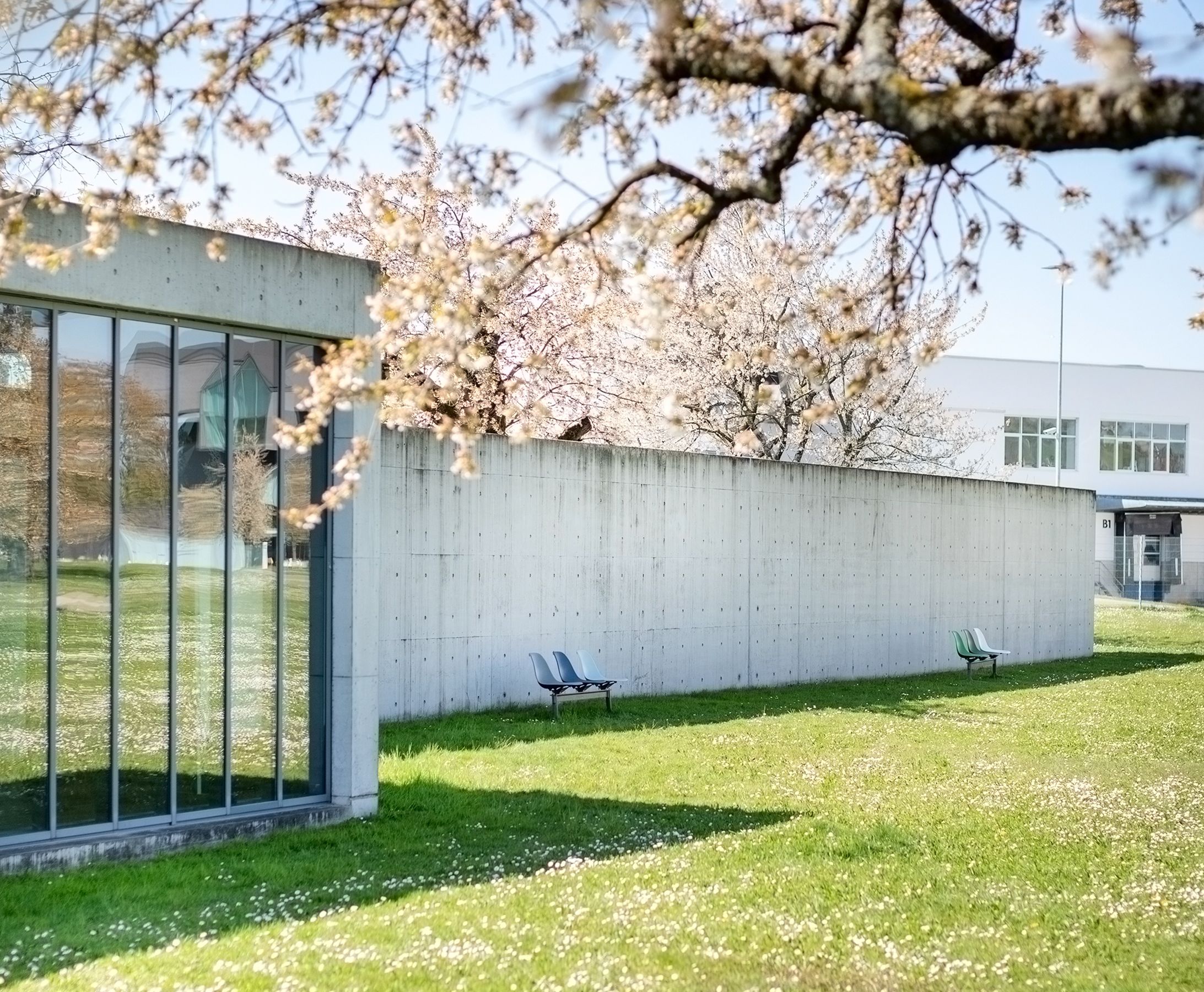 Japanese Architecture with Sake Tasting at Tadao Ando's Conference ...