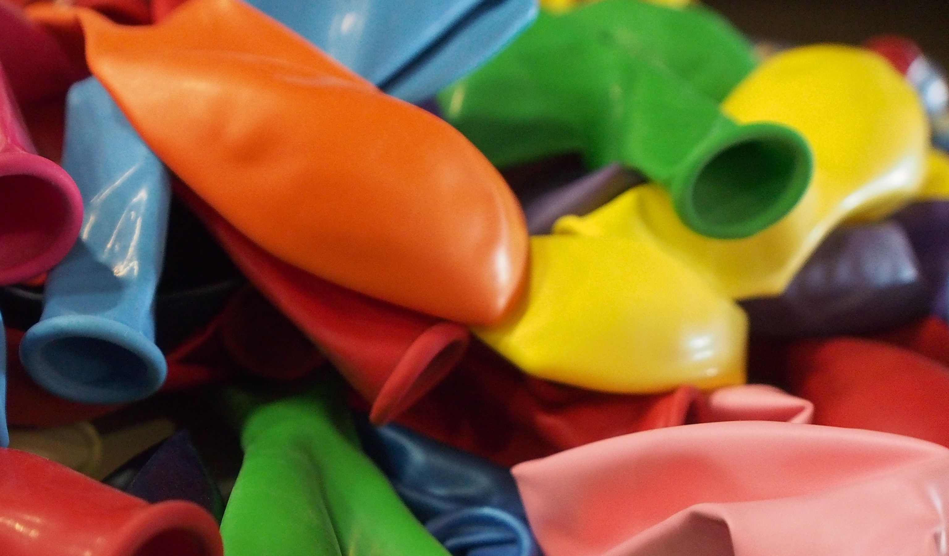 Klotener Kinderfasnacht 2025 - Motto Wunderwelt Wald | Suisse Tourisme