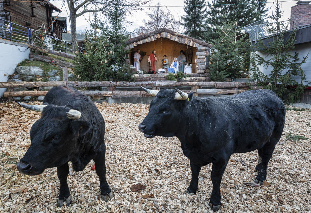 Gommer Adventsmärt | Schweiz Tourismus