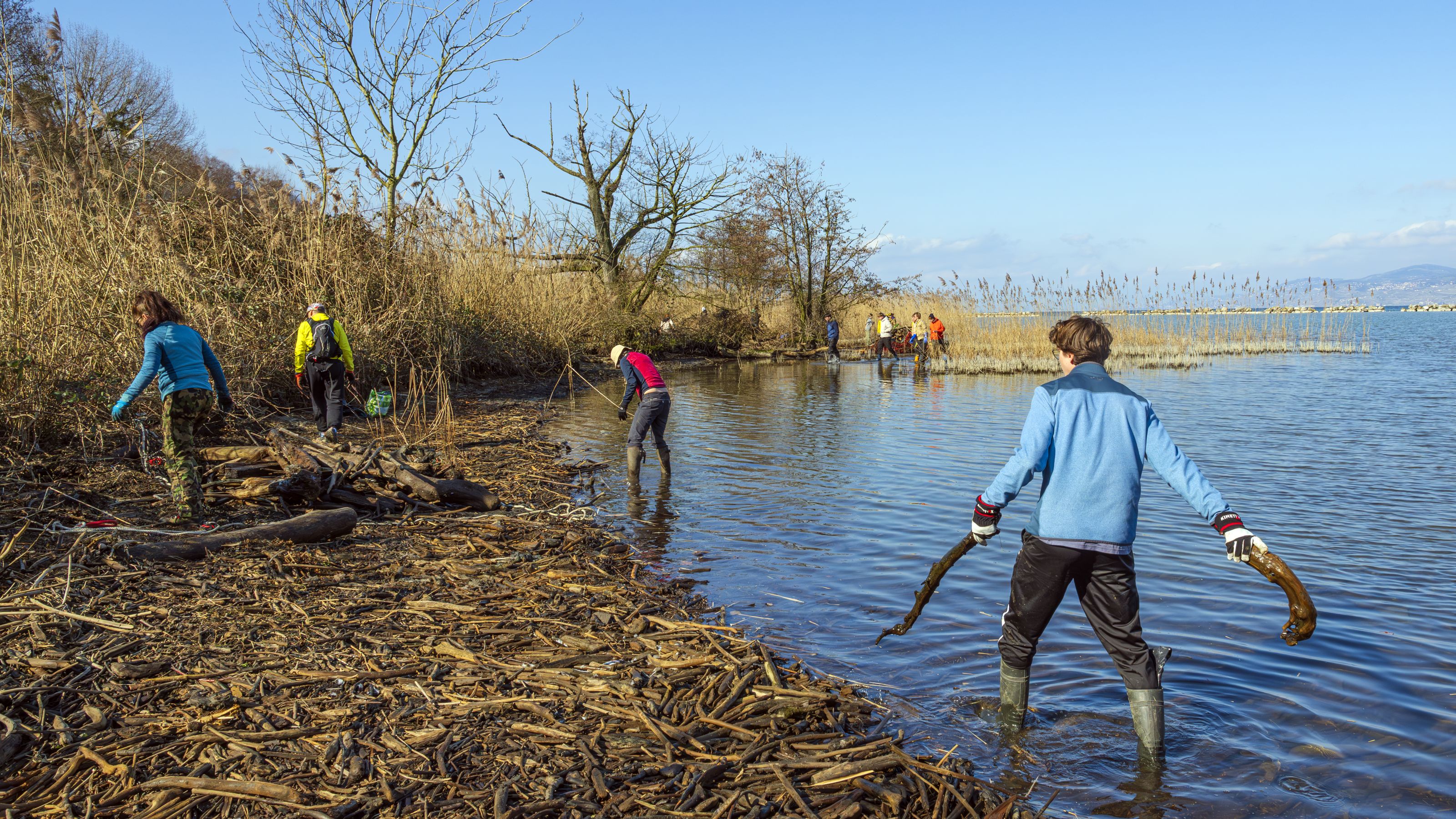 Clean-up of the Grangettes reed beds on March 7, 2026 | Svizzera Turismo