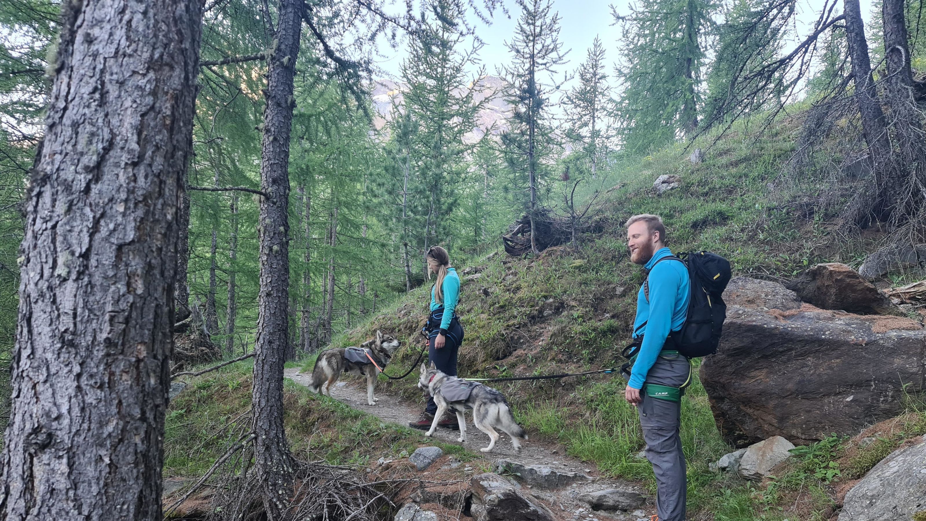 Full moon Husky Trekking Summer | Suíça Turismo