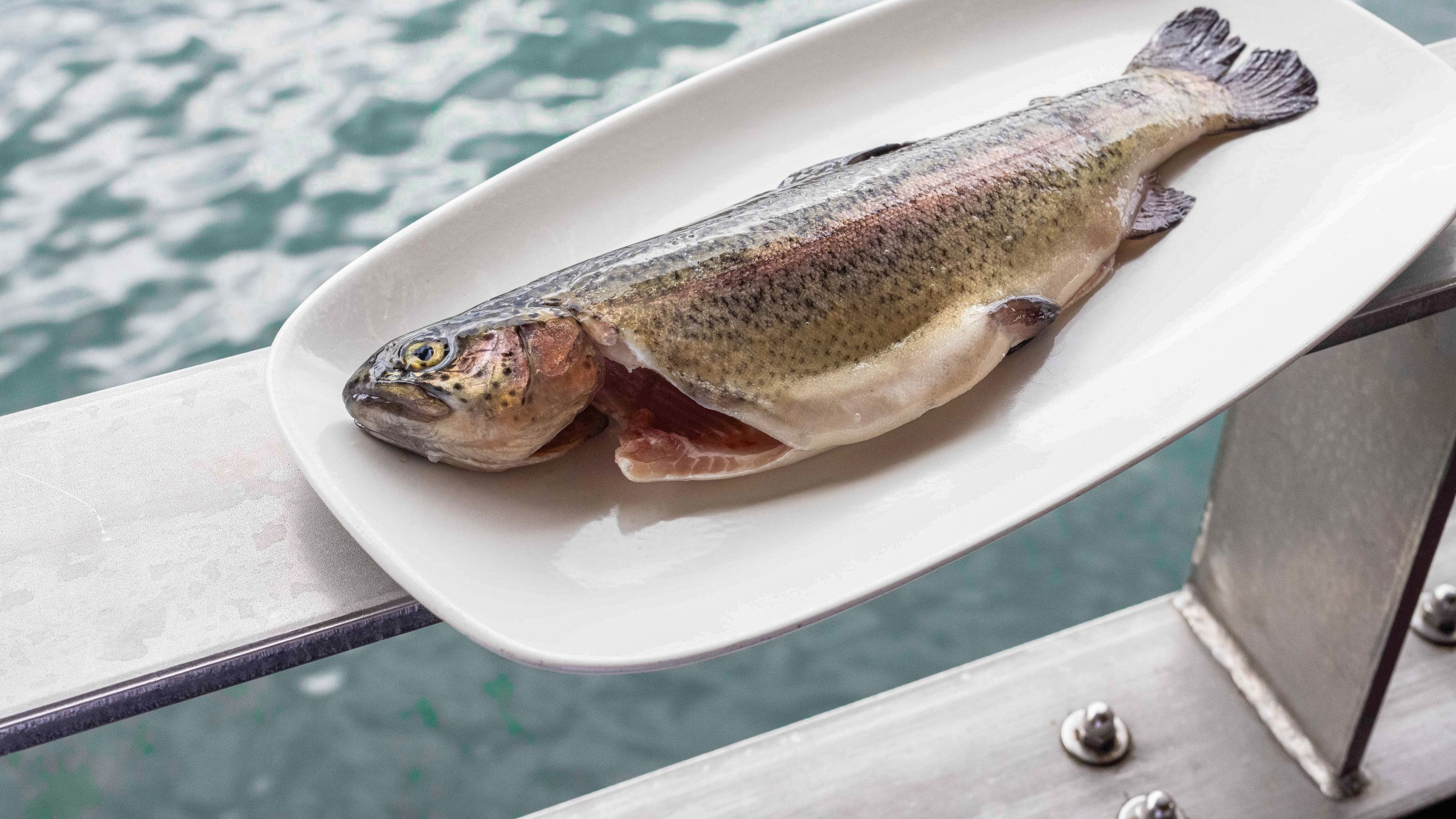 Trout blue | Switzerland Tourism