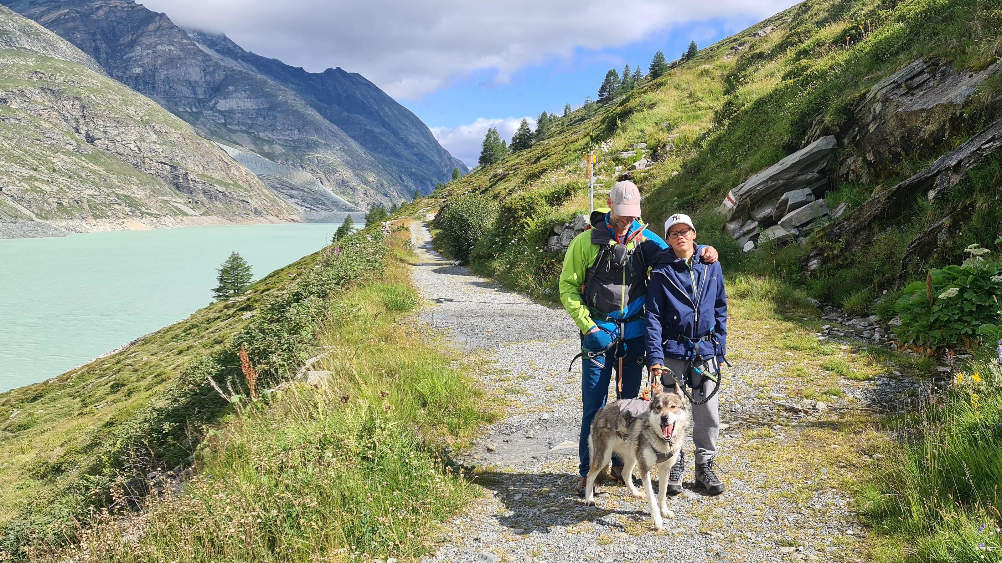 Husky Trekking summer| Mattmark | Switzerland Tourism