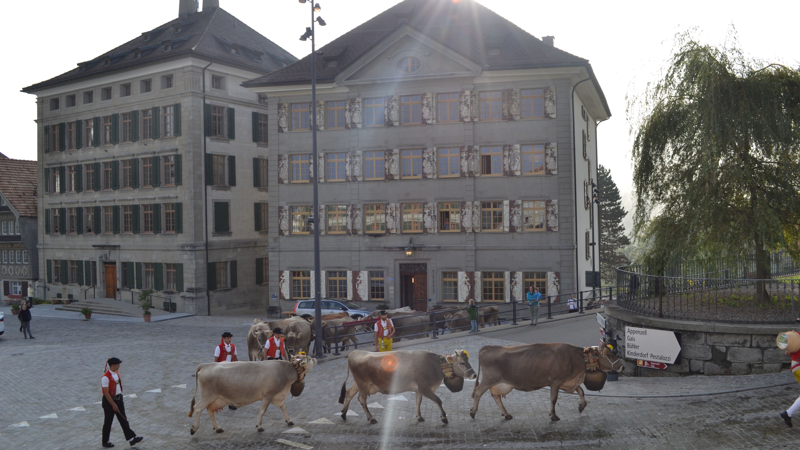 Exposición de ganado de Trogen | Suiza Turismo