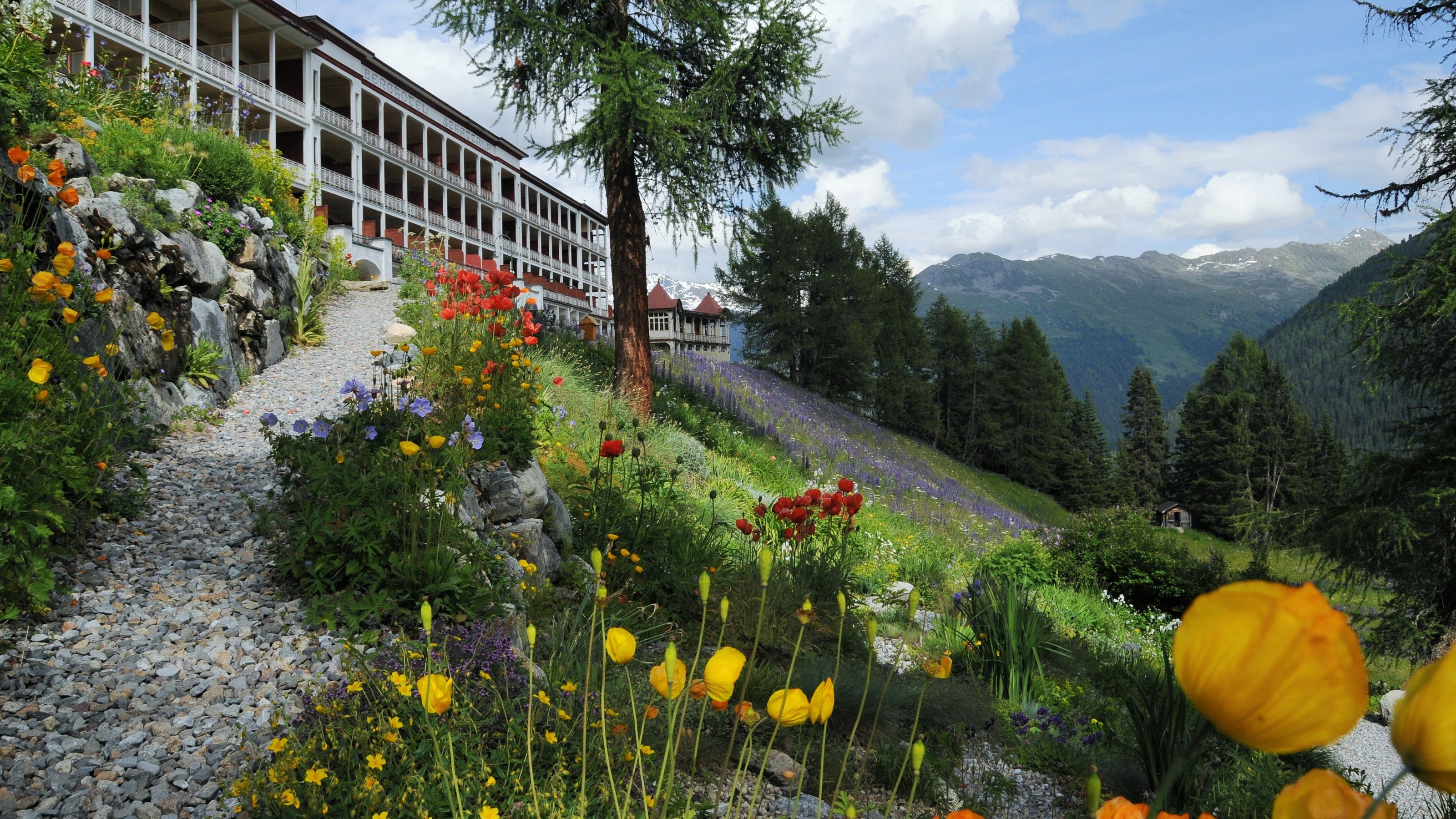 Alpinum histórico | Suiza Turismo