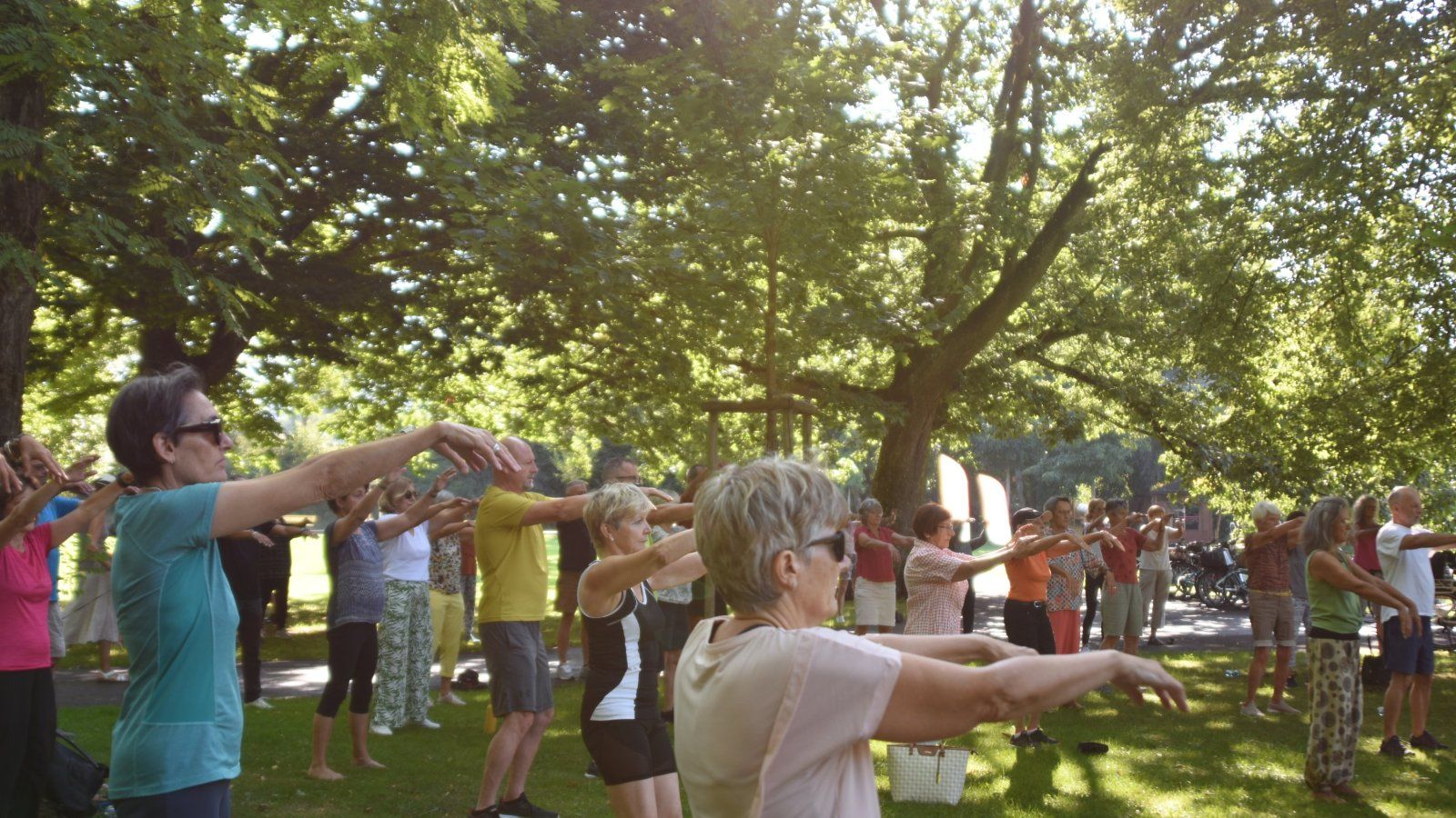 Welt Taiji und Qigong Tag in Wil SG | Switzerland Tourism