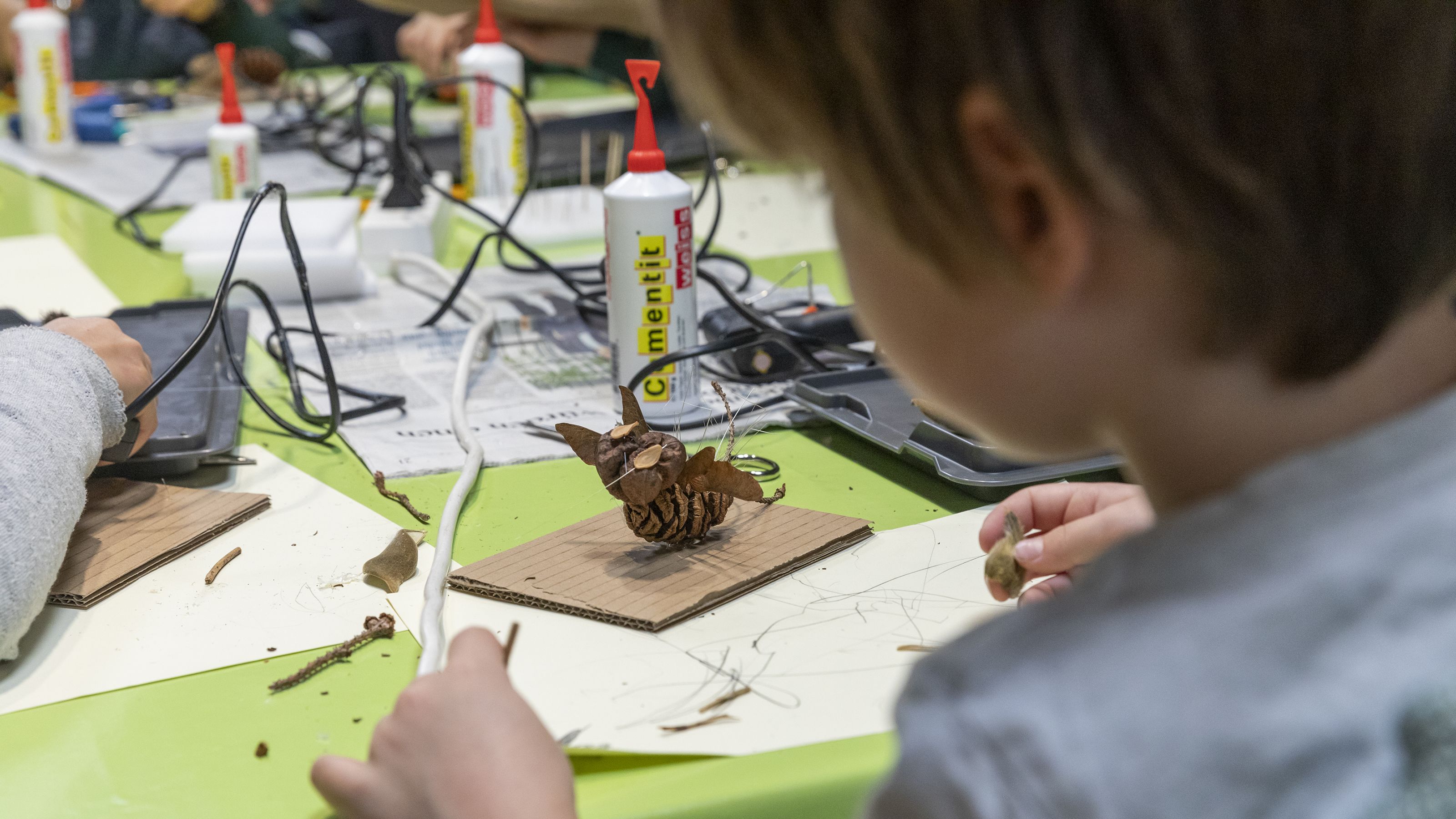 Crafting insects | Switzerland Tourism