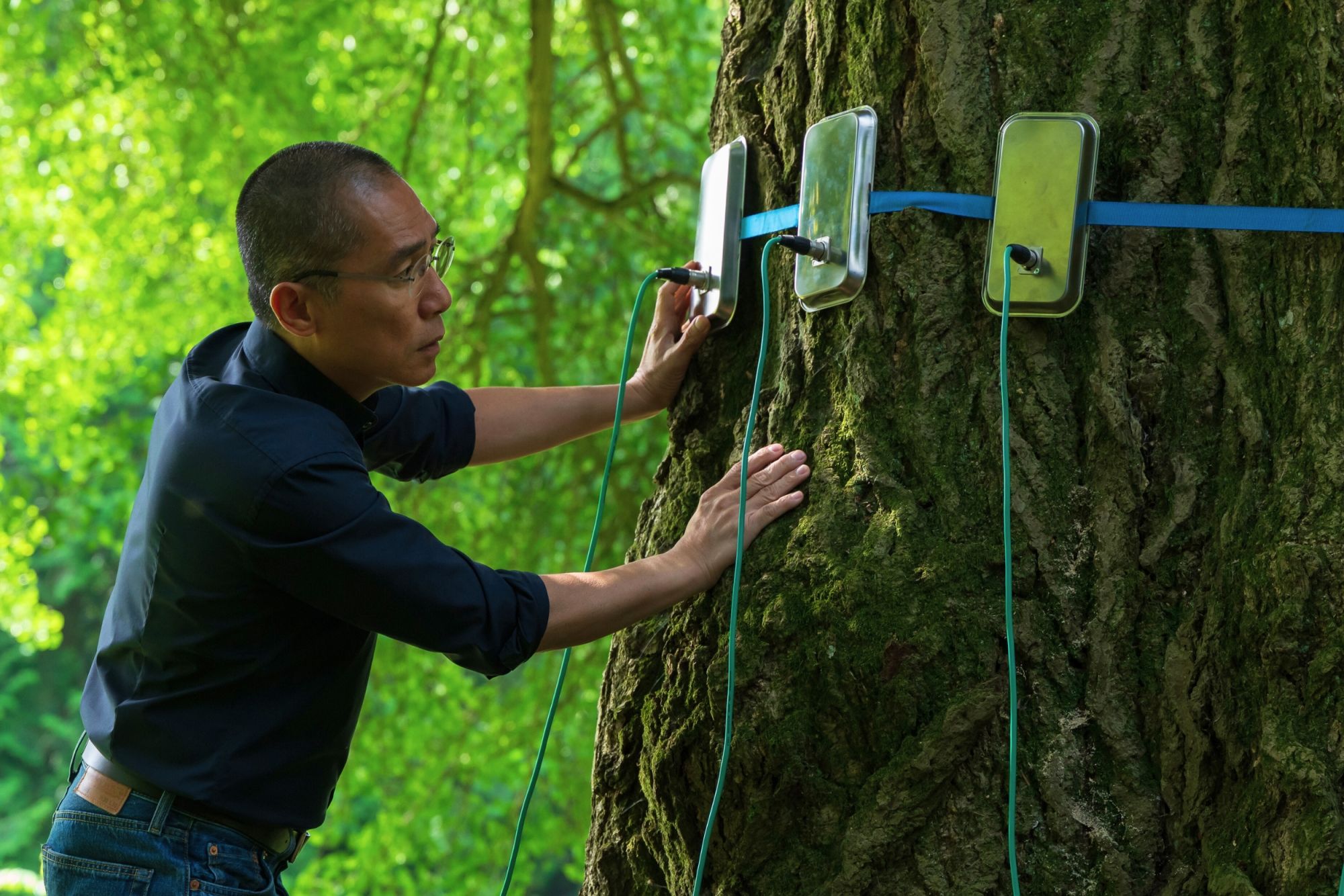 Vorpremiere SILENT FRIEND | Switzerland Tourism