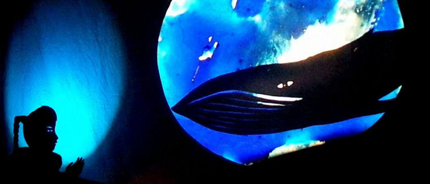 Spectacle : Le Voyage d’Ayanna - Une histoire du Grand Nord (dès 4 ans ...