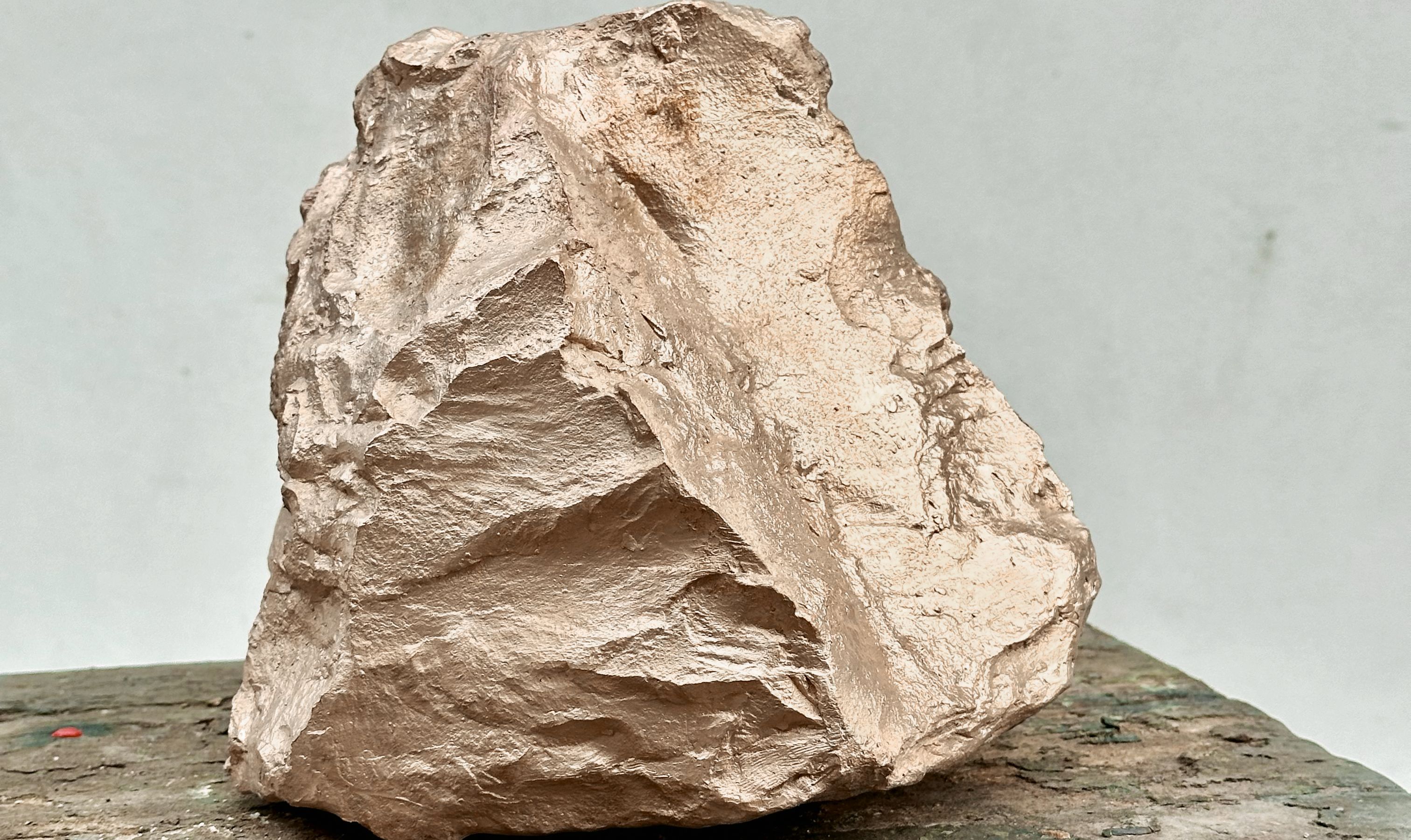 Andrea Muheim – Der Mensch nimmt, sammelt und stiehlt, was er will ...