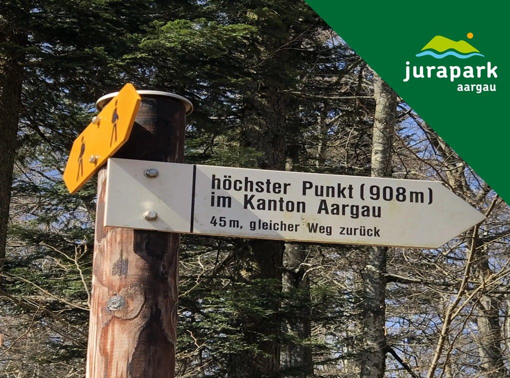 Wanderung zum höchsten Punkt im Aargau (908 m.ü.M.) | Schweiz Tourismus