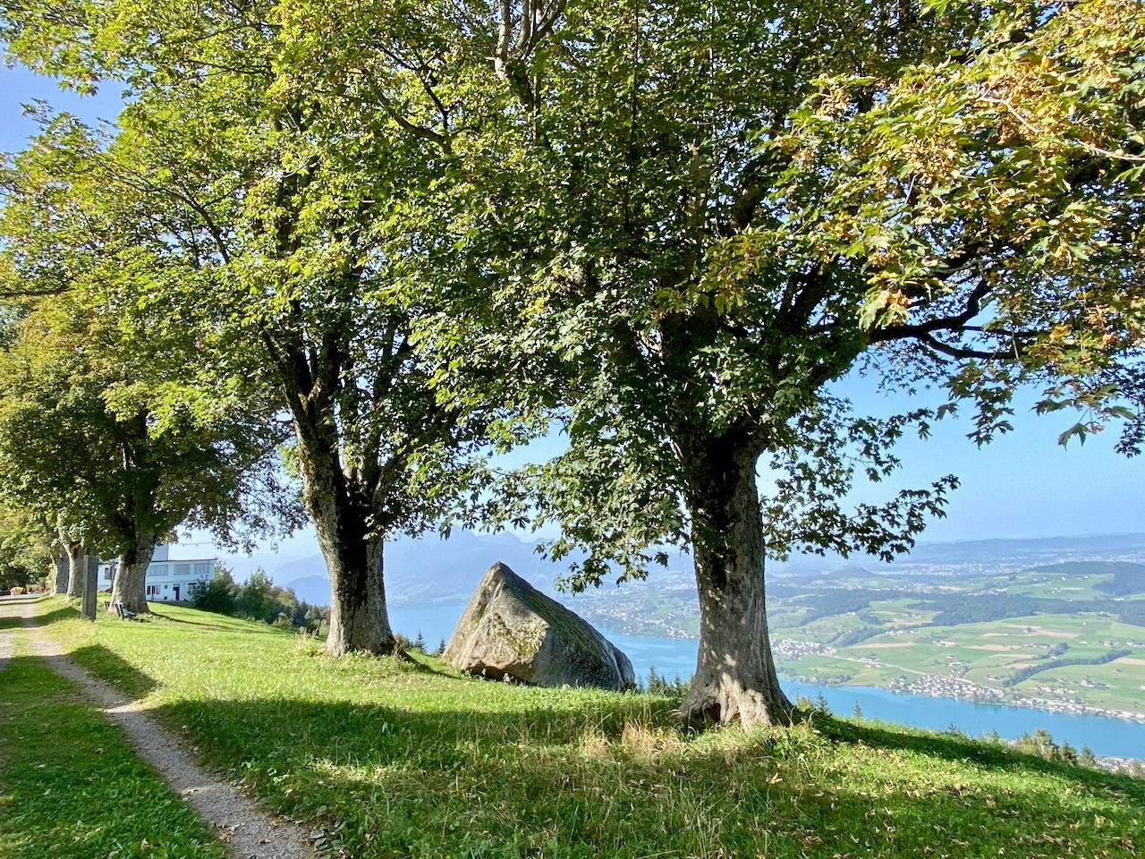 Herbstwanderung 2025 von Immensee auf die Rigi | Suisse Tourisme
