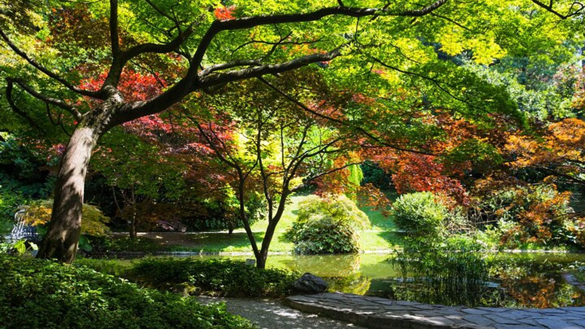 Vanuit Milaan: Bellagio, Varenna & Lugano — Privé Luxe Busje ...