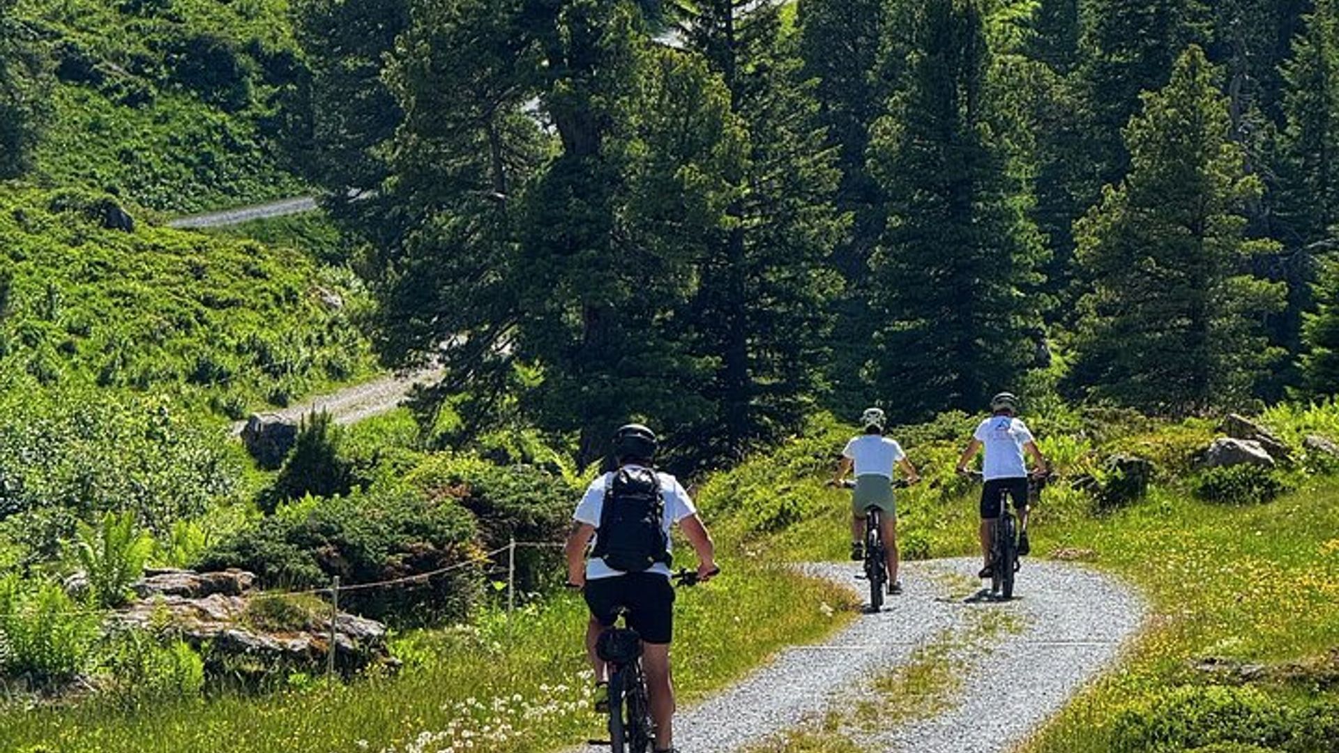 Lake Discovery E-Bike Adventure to Engstlenalp from Interlaken ...