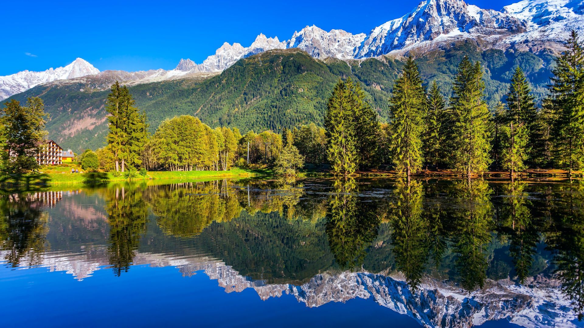 Excursión en autobús de ida y vuelta de Ginebra a Chamonix Mont Blanc ...