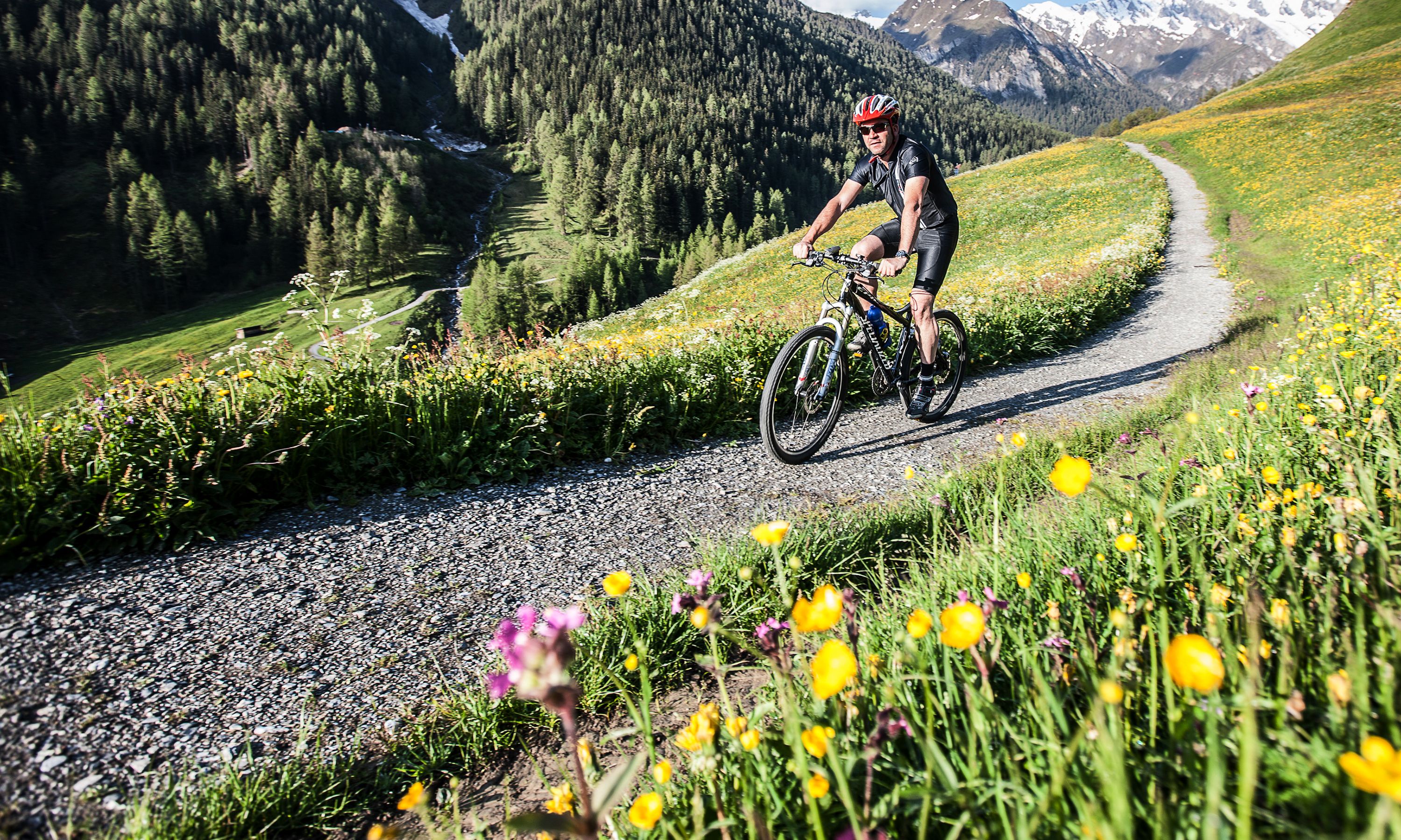 Fimberpass - Val d'Uina - Reschenpass | Schweiz Tourismus