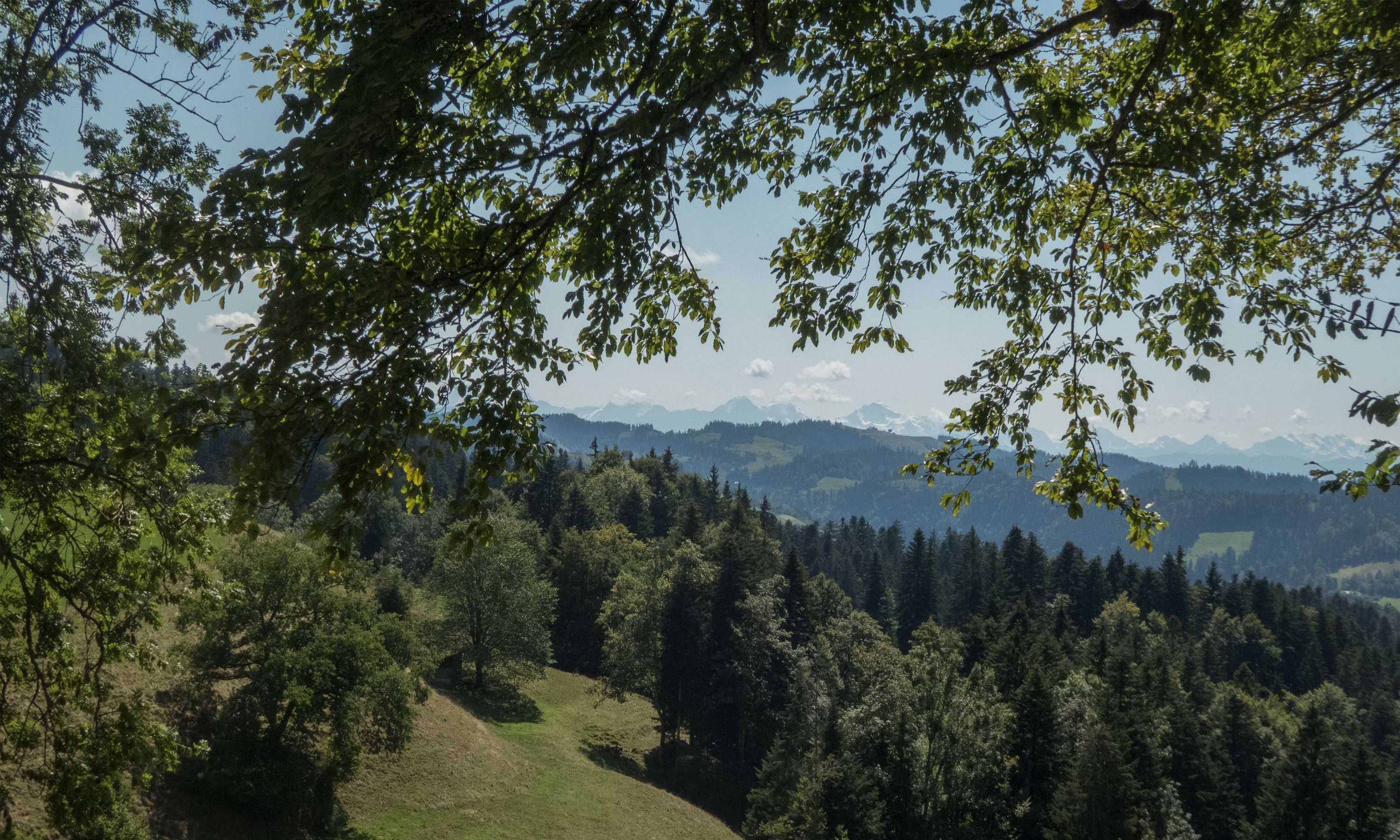 Herzschlaufe Napf | Schweiz Tourismus