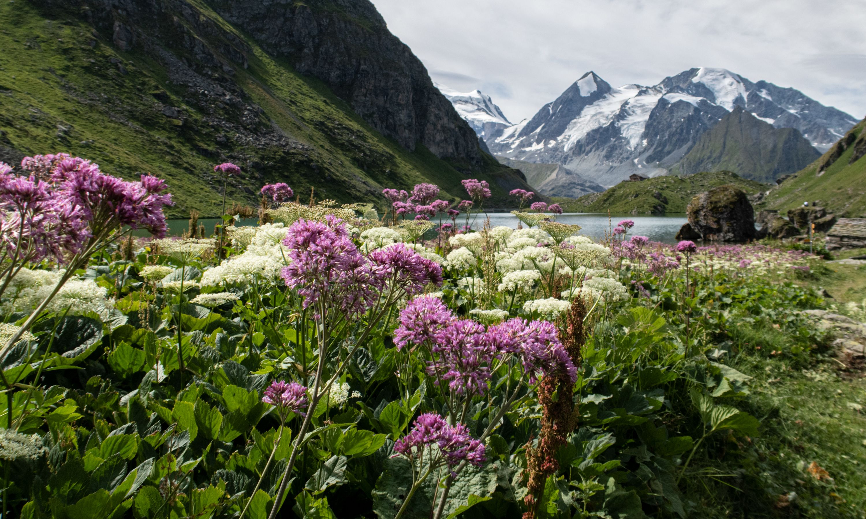 Alpine Passes Trail | Switzerland Tourism