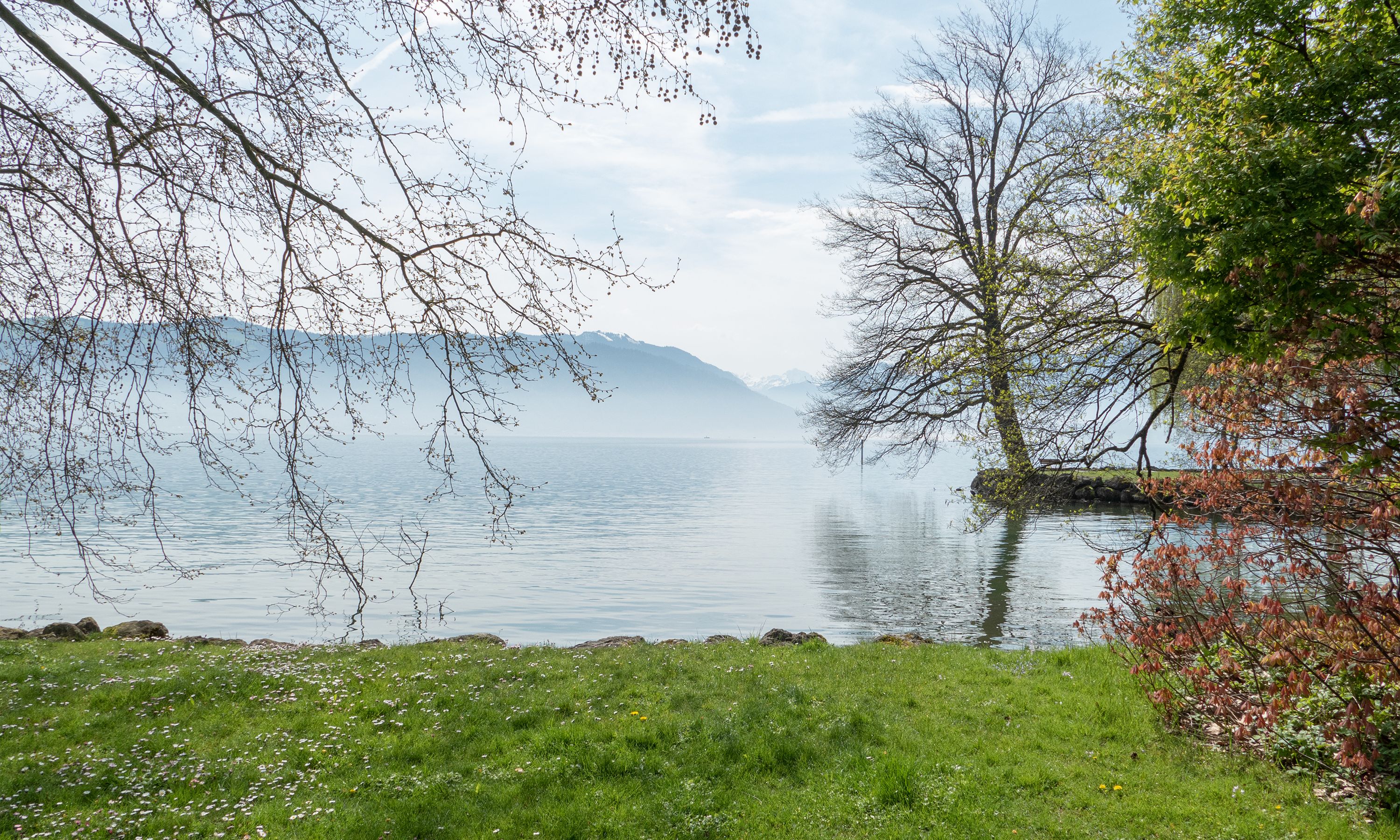 Zugersee-Uferweg | Schweiz Tourismus