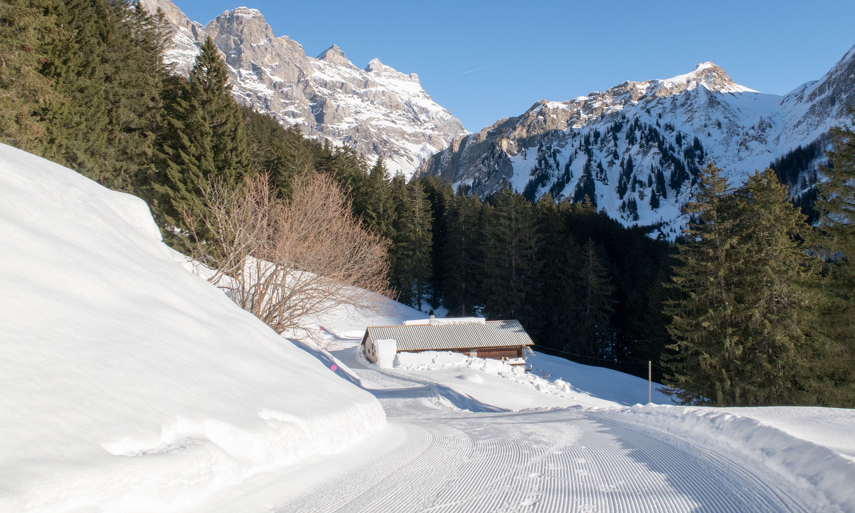 Chemin de Frience–Solalex–Cergnement | Switzerland Tourism