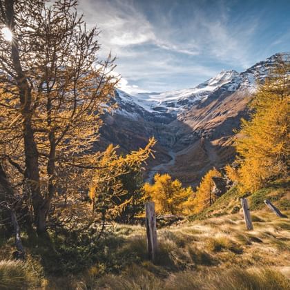 Eurotrek Alpin: KESCH & Bernina Trek, 10 Tage | Schweiz Tourismus