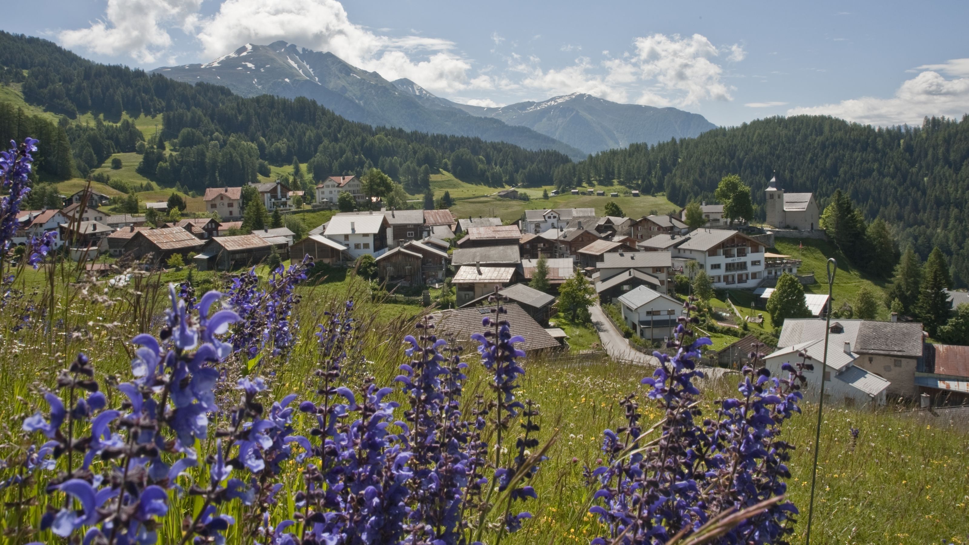 A tour of Feldis village | Switzerland Tourism