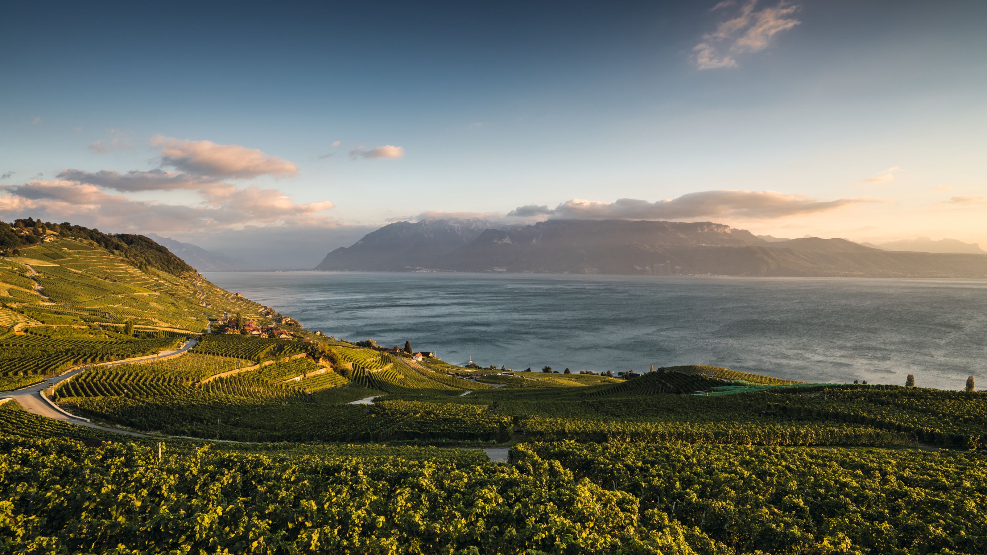 Lavaux, Vineyard Terraces | Switzerland Tourism