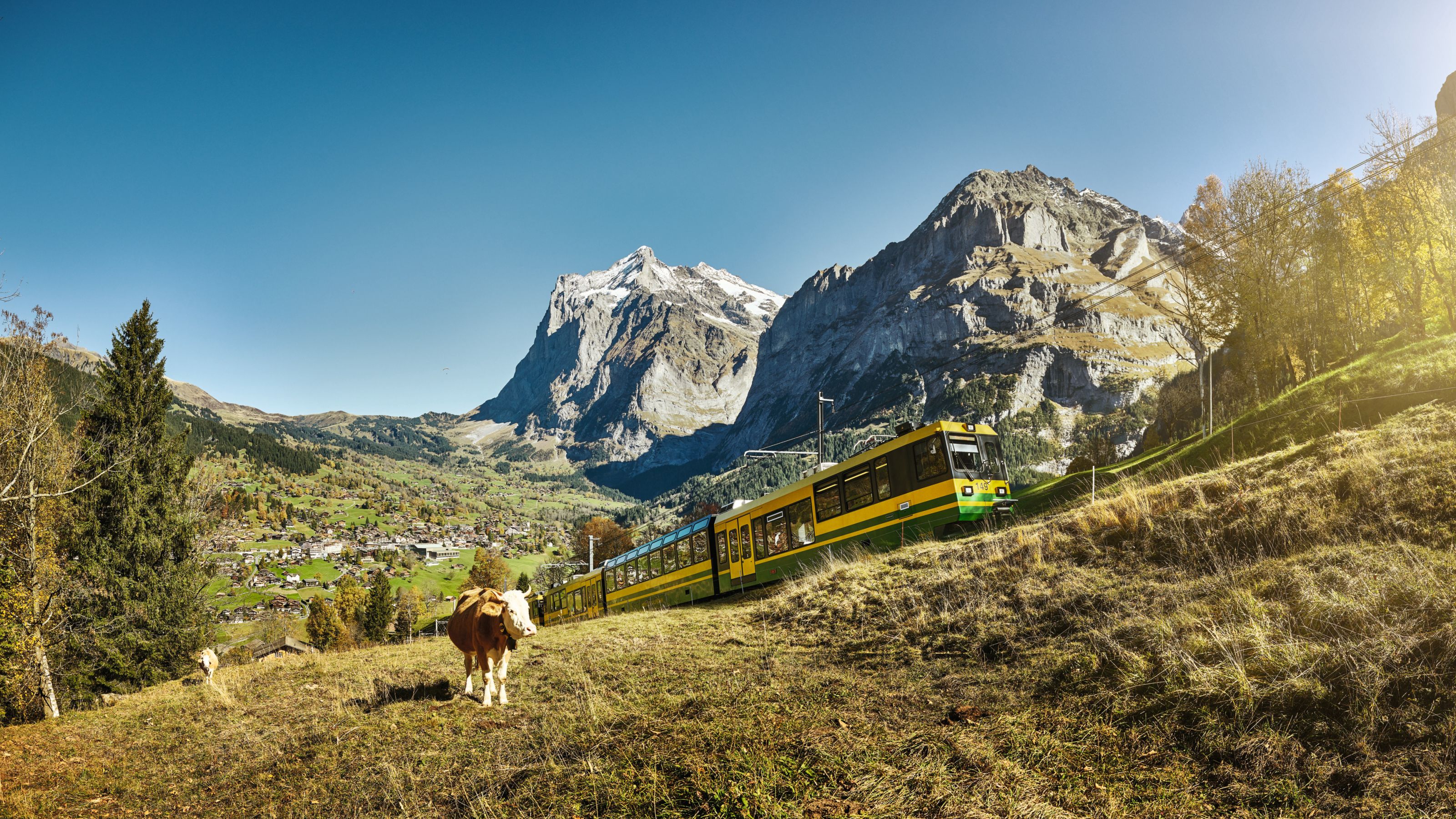 Wengernalpbahn | Switzerland Tourism