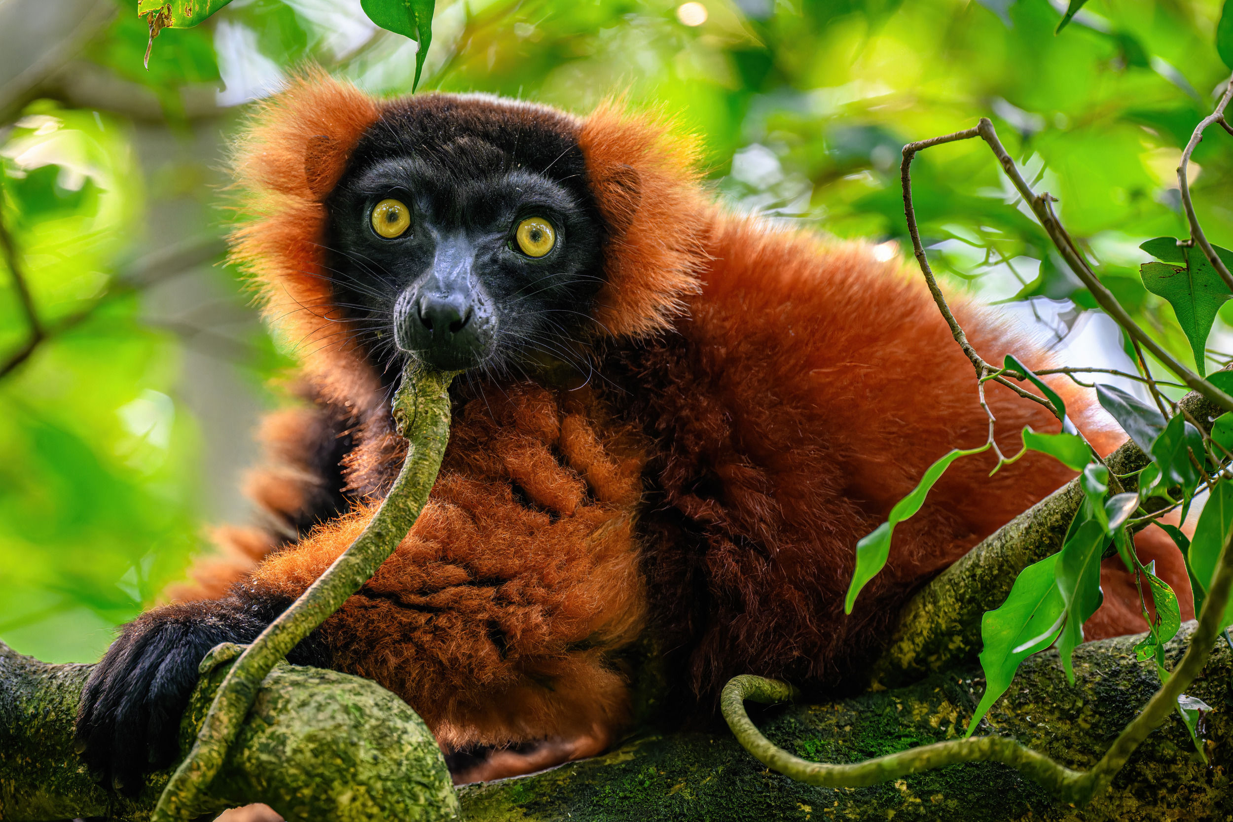 Zoo Zurich | Switzerland Tourism