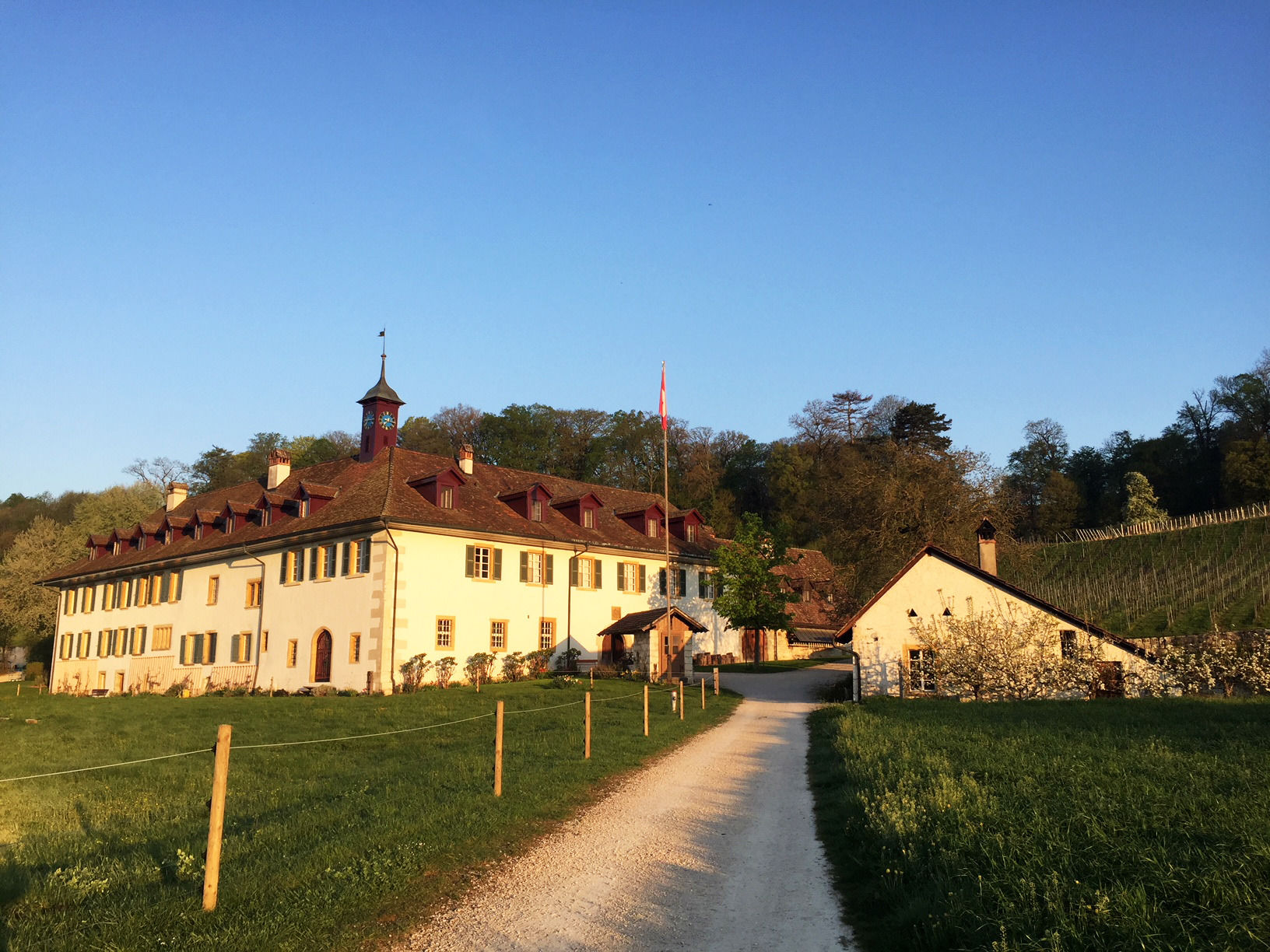 Visite guidée sur l'île St-Pierre | Suisse Tourisme