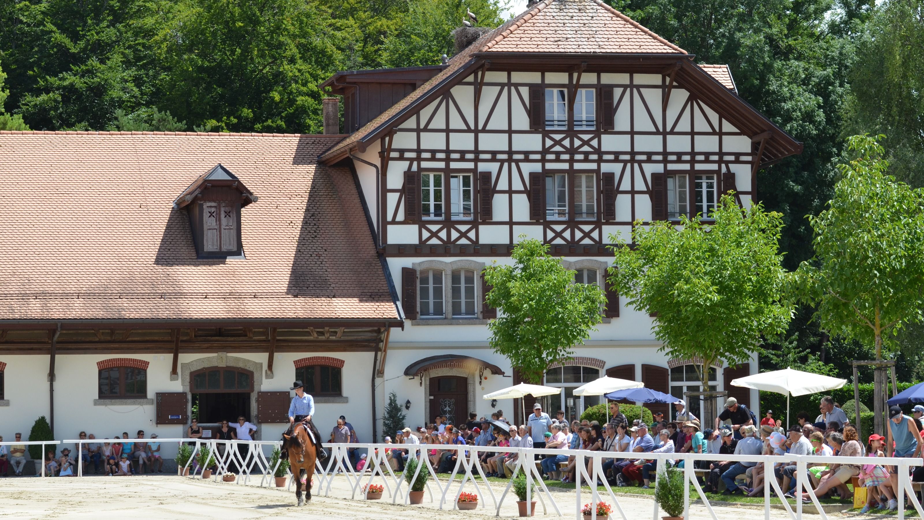 Le Haras national suisse | Suisse Tourisme