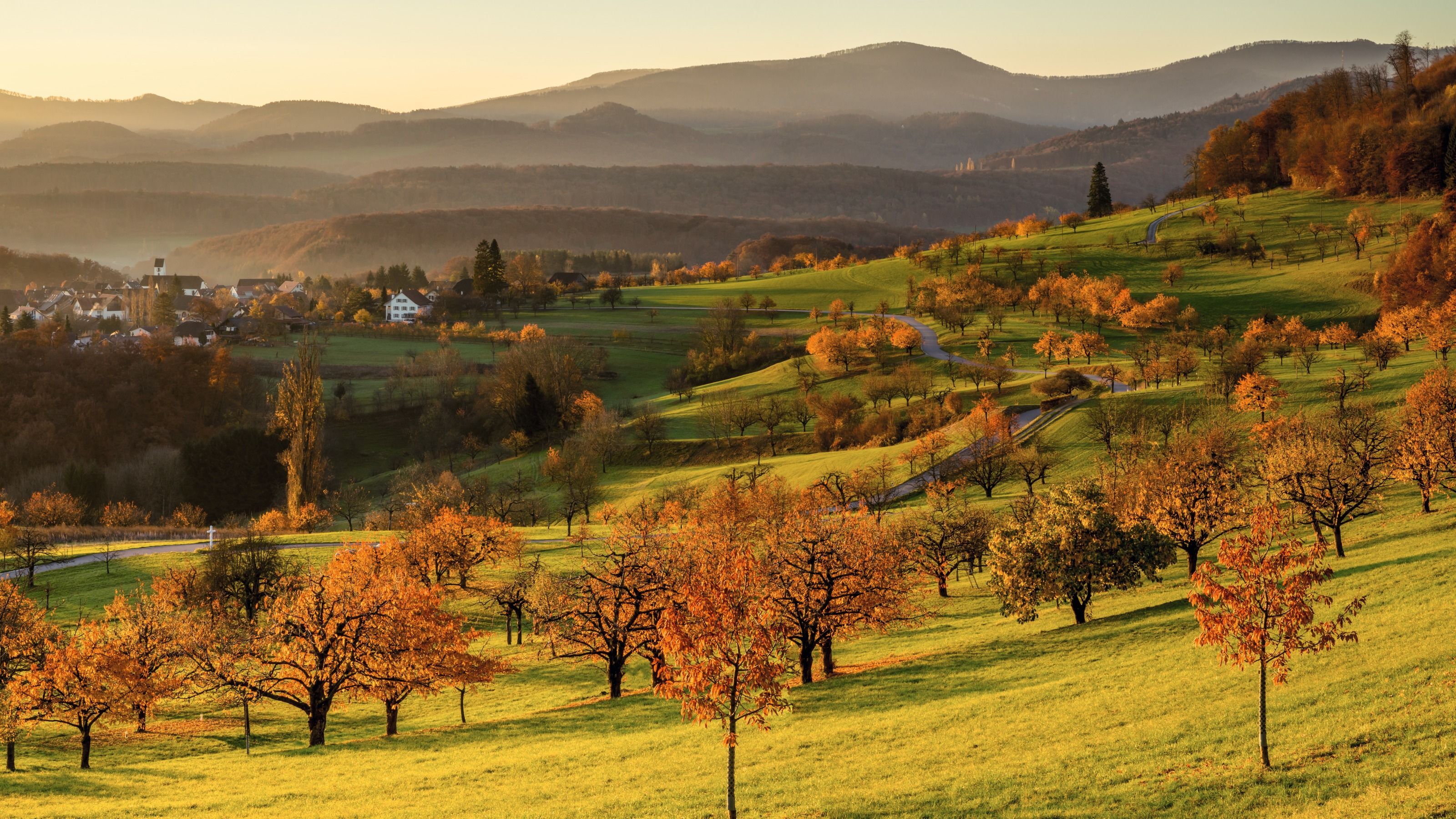 Liestal | Switzerland Tourism