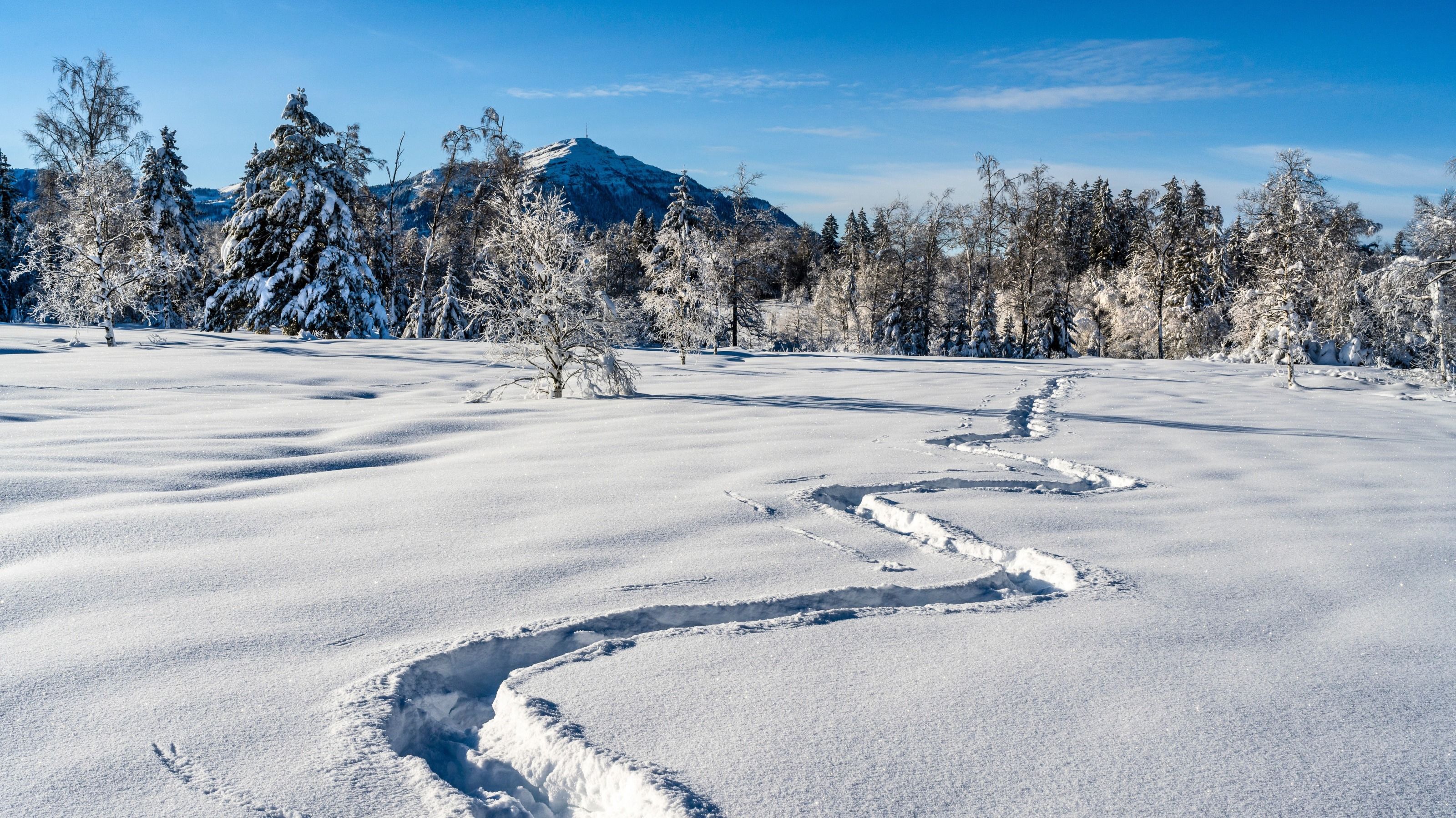 Zugerberg | Switzerland Tourism