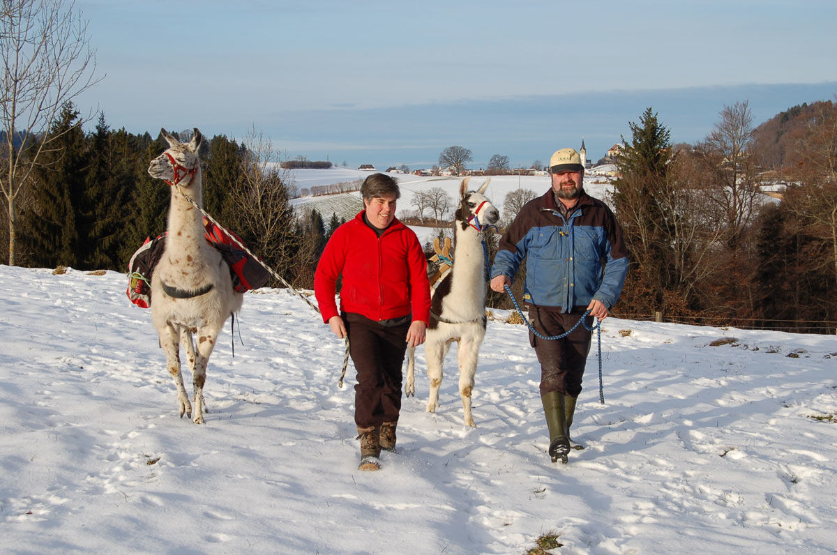 Lamatrekking | Schweiz Tourismus